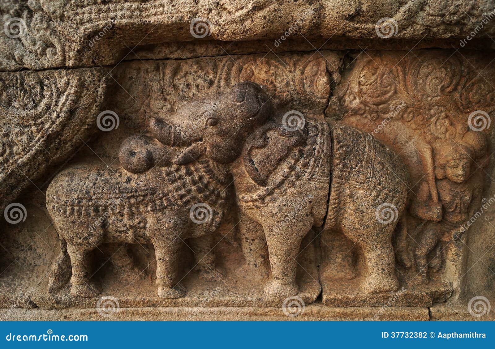 Two body one head stock photo. Image of colorful, paradox - 37732382