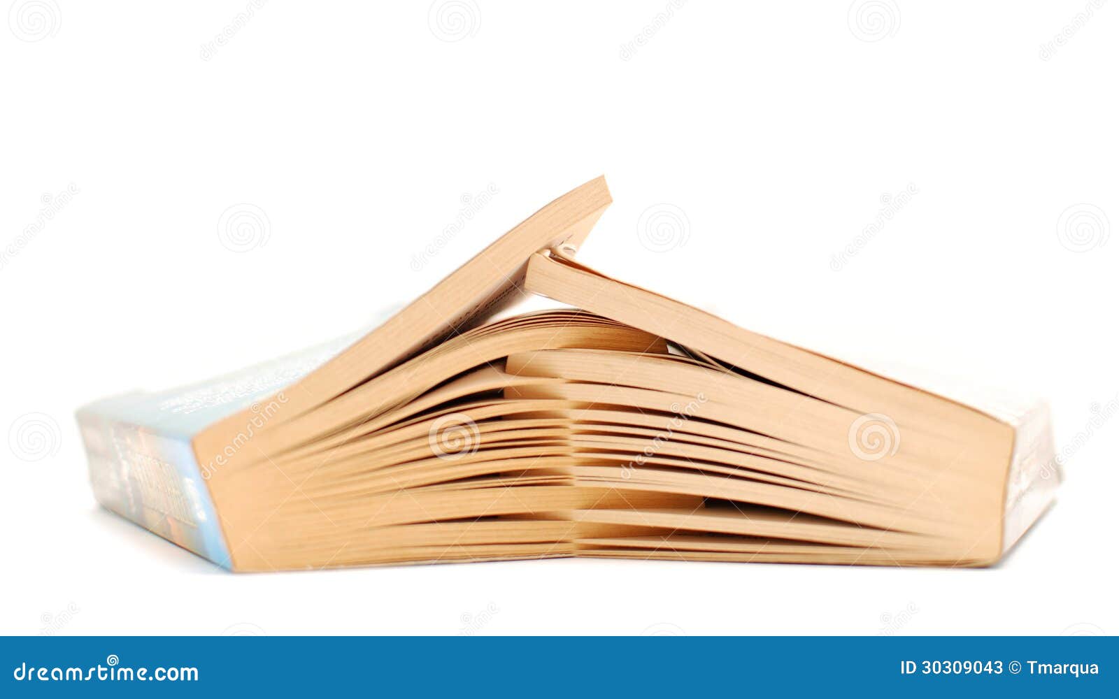 Books stock image. Image of fiction, pages, grade, leisure - 30309043