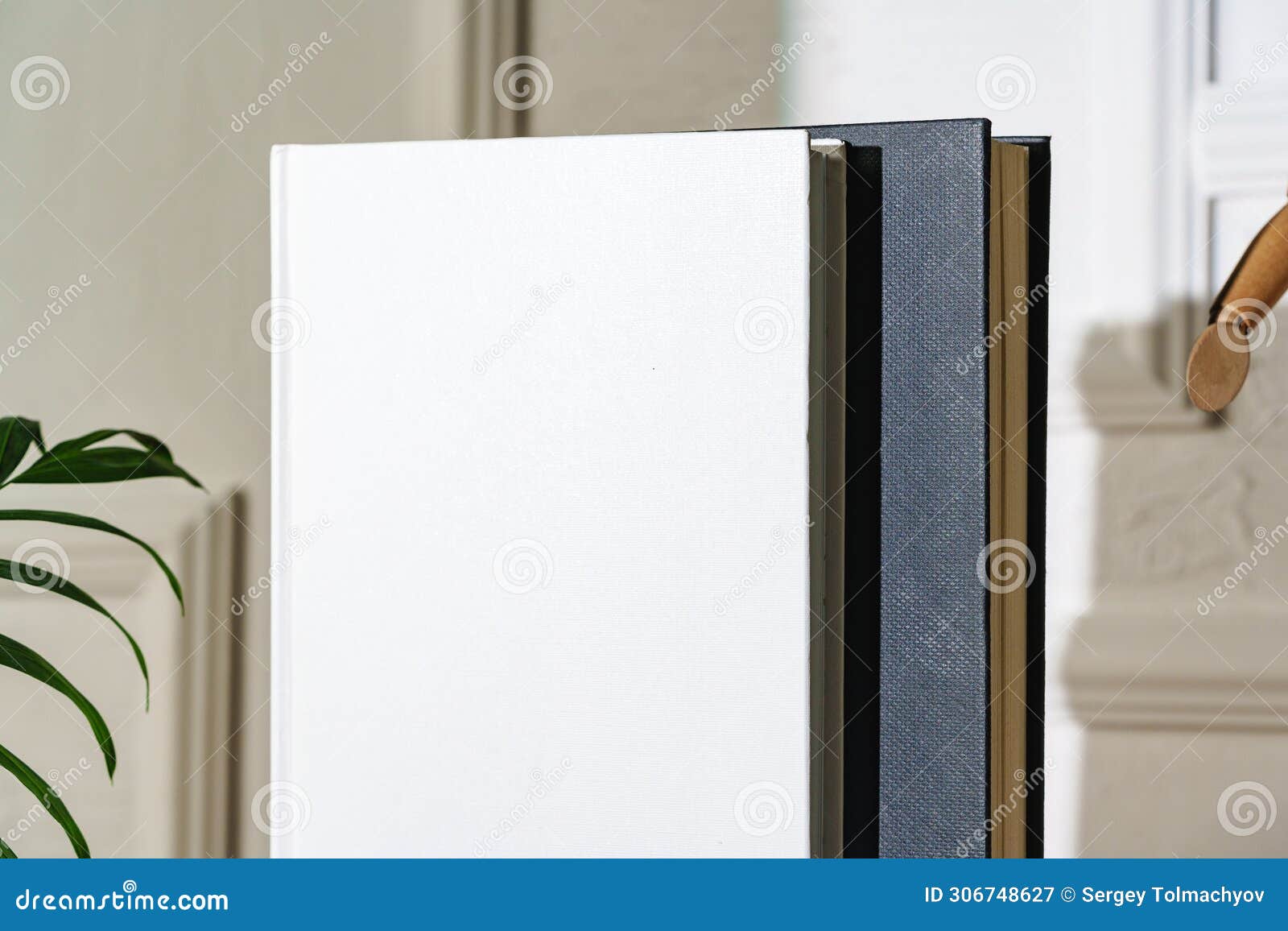 Two Books Stand Vertically Against the Wall Stock Image - Image of ...