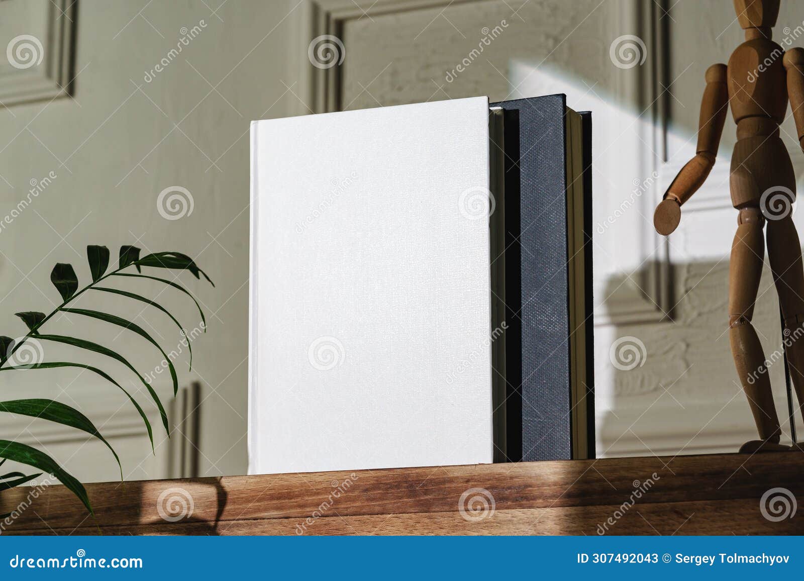 Two Books Stand Vertically Against the Wall Stock Image - Image of ...