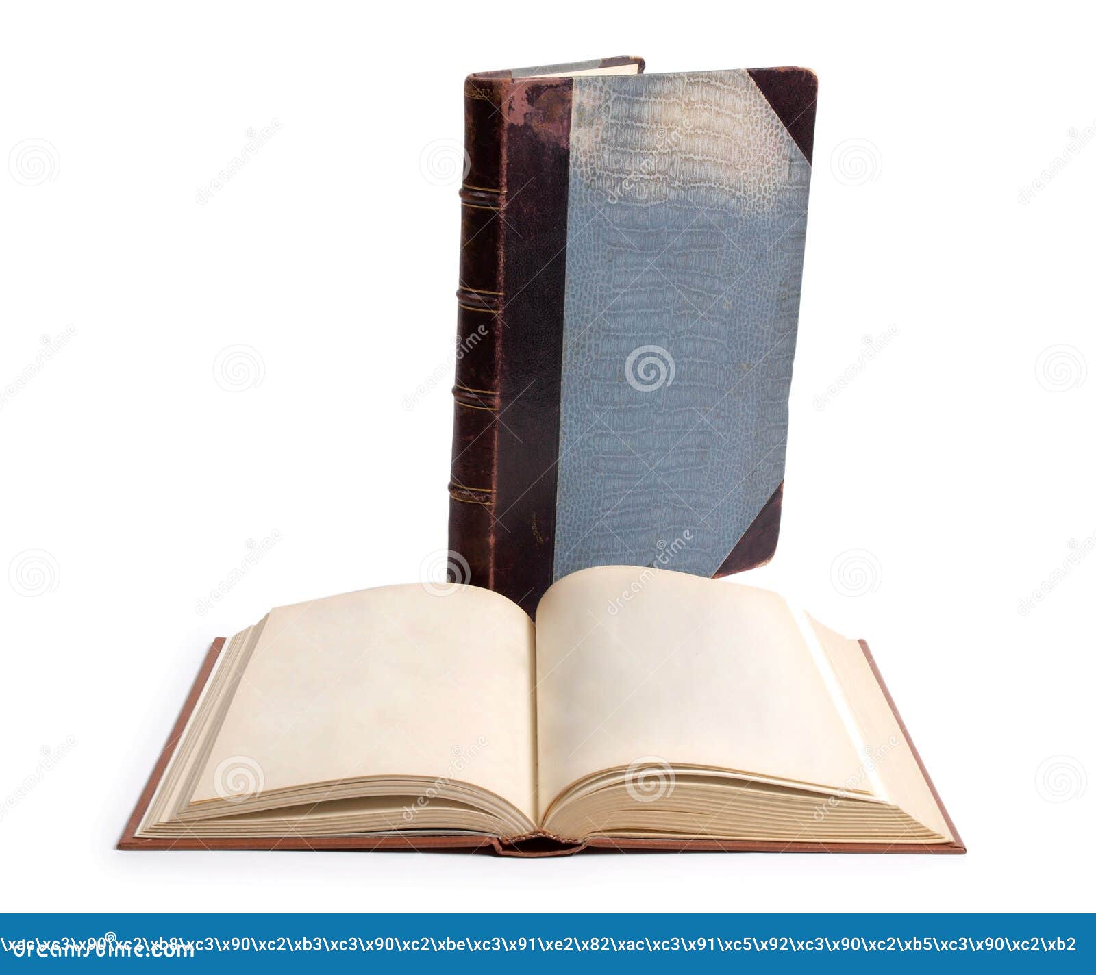 Two books on white stock image. Image of antique, scholarship - 20718275