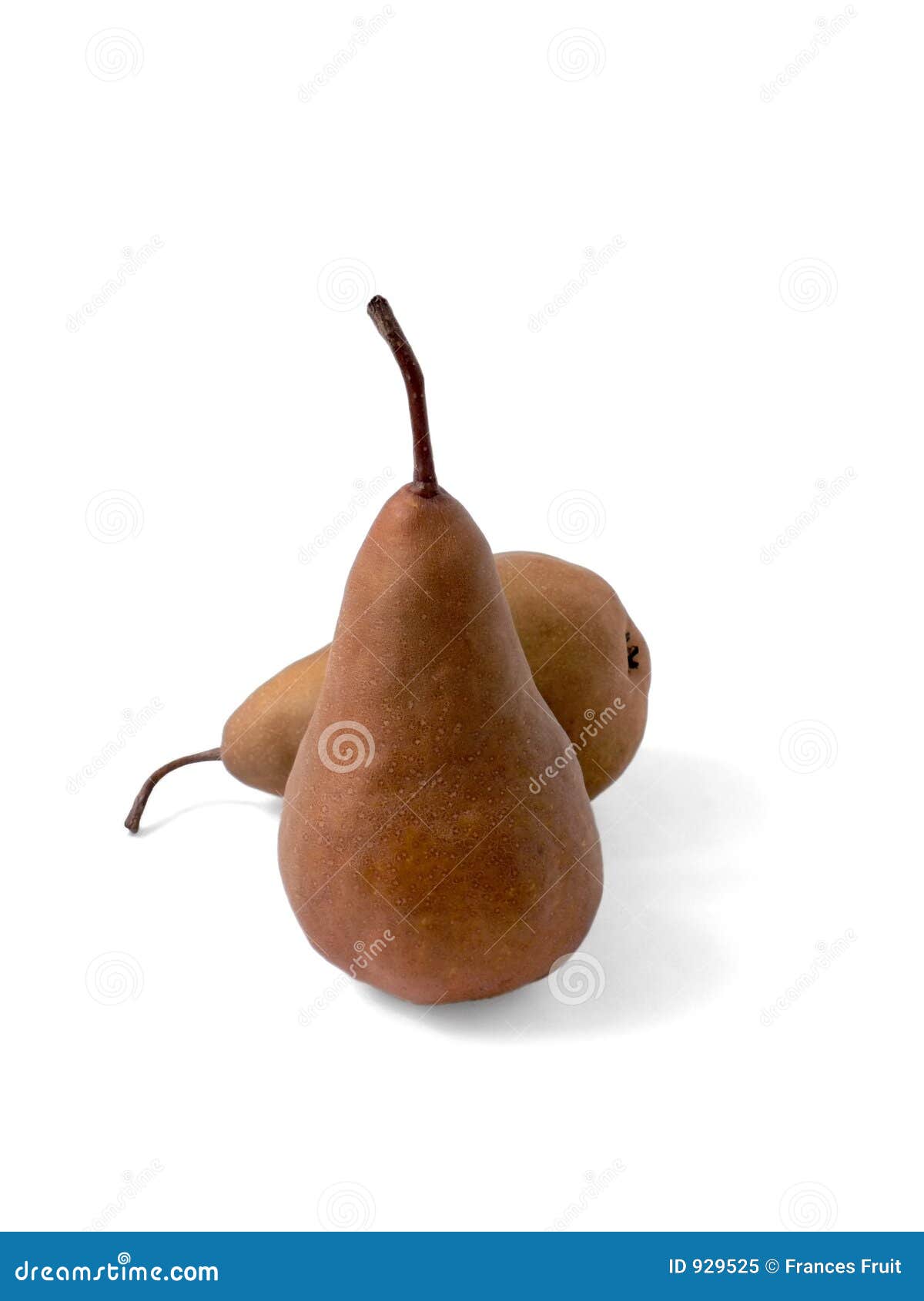 Two Bosc pears stock image. Image of isolation, pears, pear - 929525