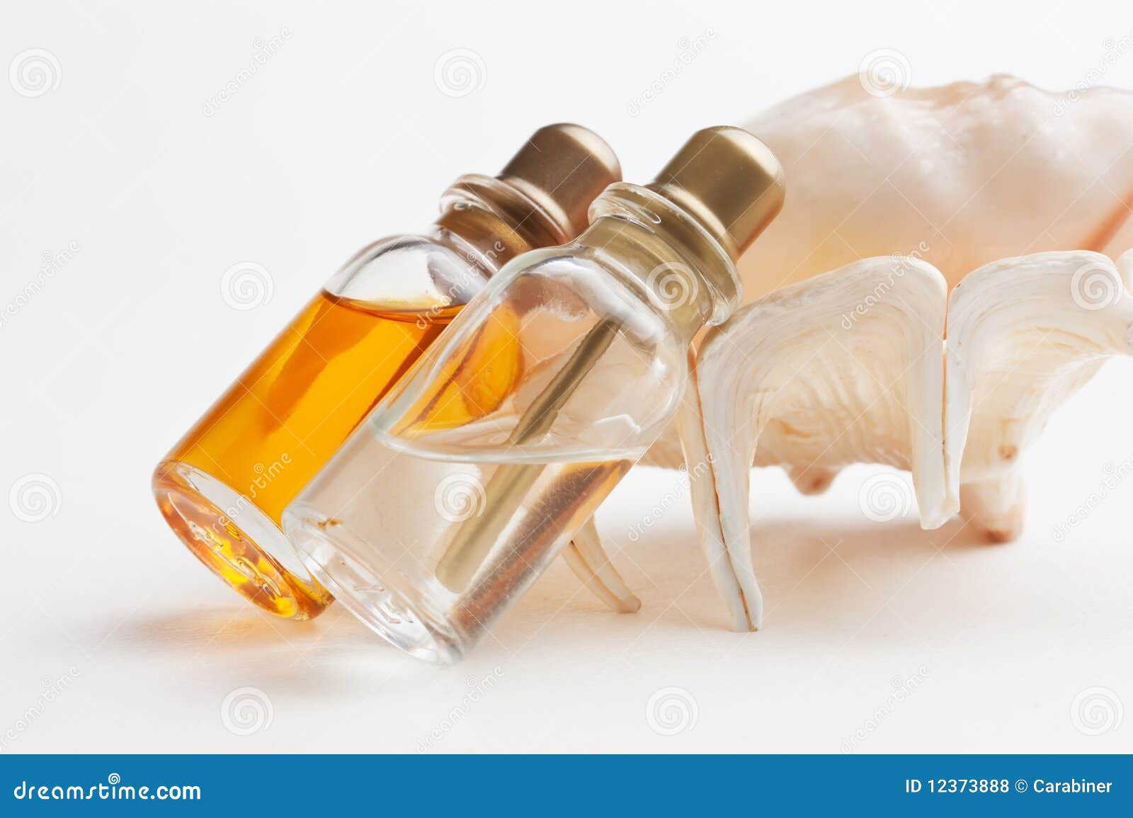 Two Bottle of Medicine and Shells Stock Photo - Image of medical ...
