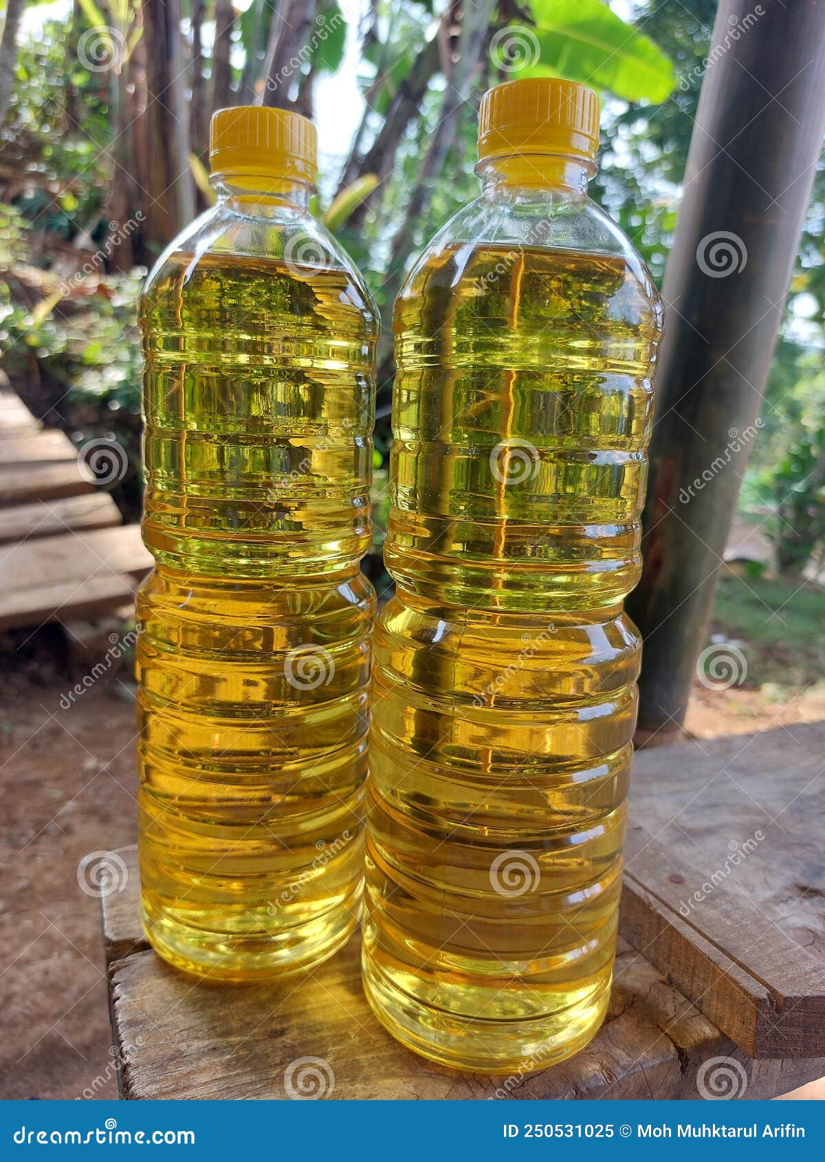 Two Bottles of Yellow Cooking Oil Stock Image - Image of cooking ...