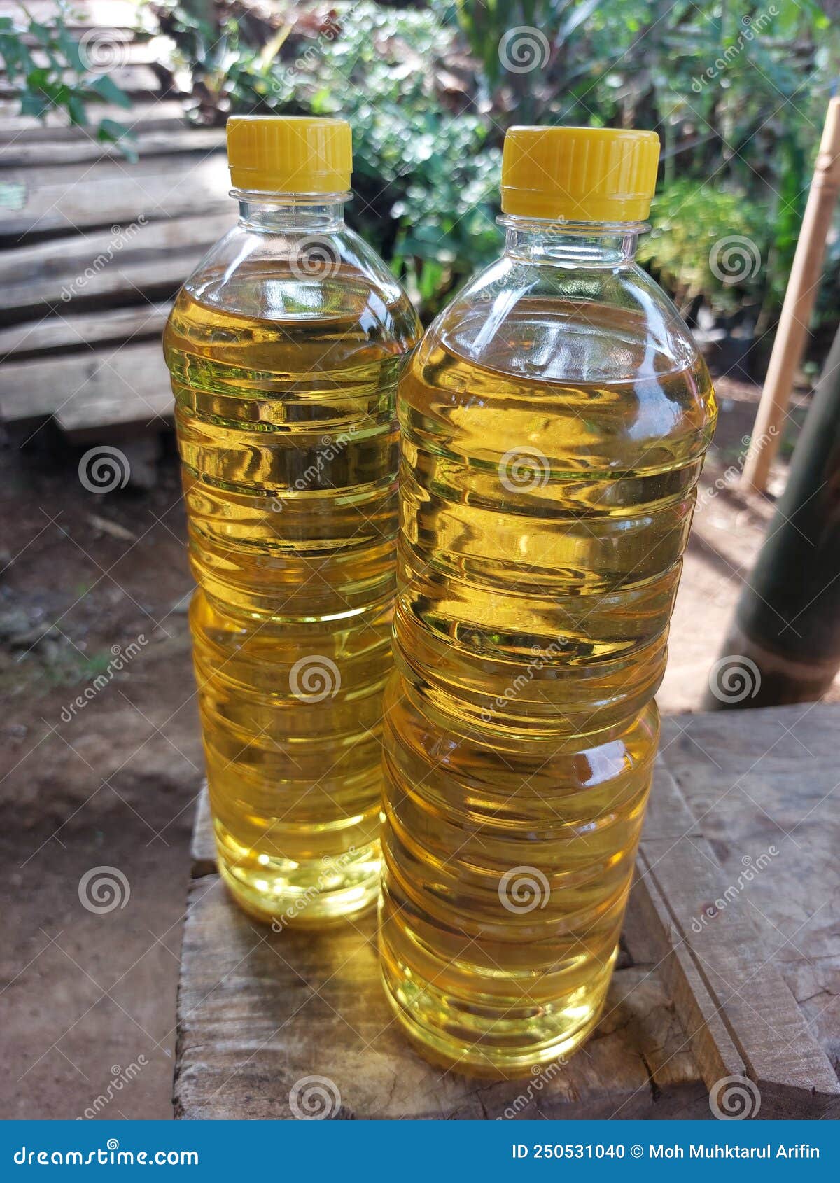 Two Bottles of Yellow Cooking Oil Stock Photo - Image of cooking ...
