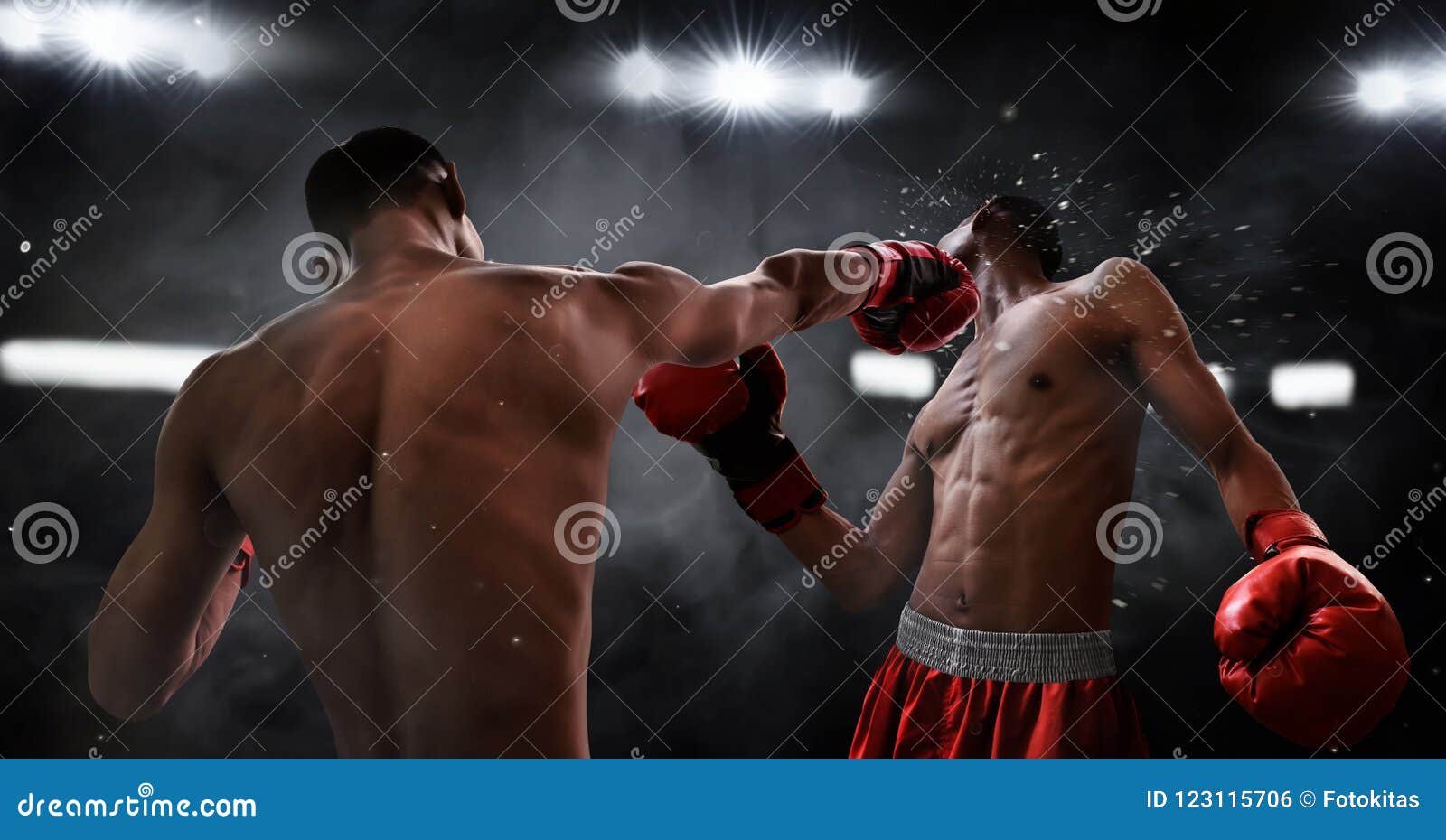 Two Boxers Fight on the Ring Stock Photo - Image of fight, fitness ...