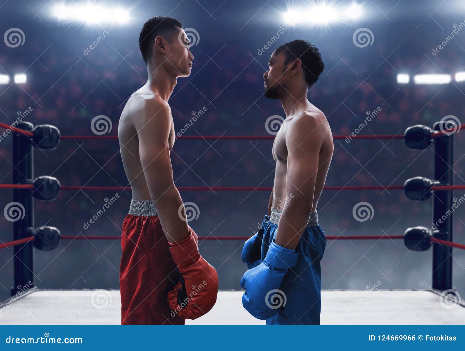 Two boxers in the ring stock photo. Image of knockout - 124669966