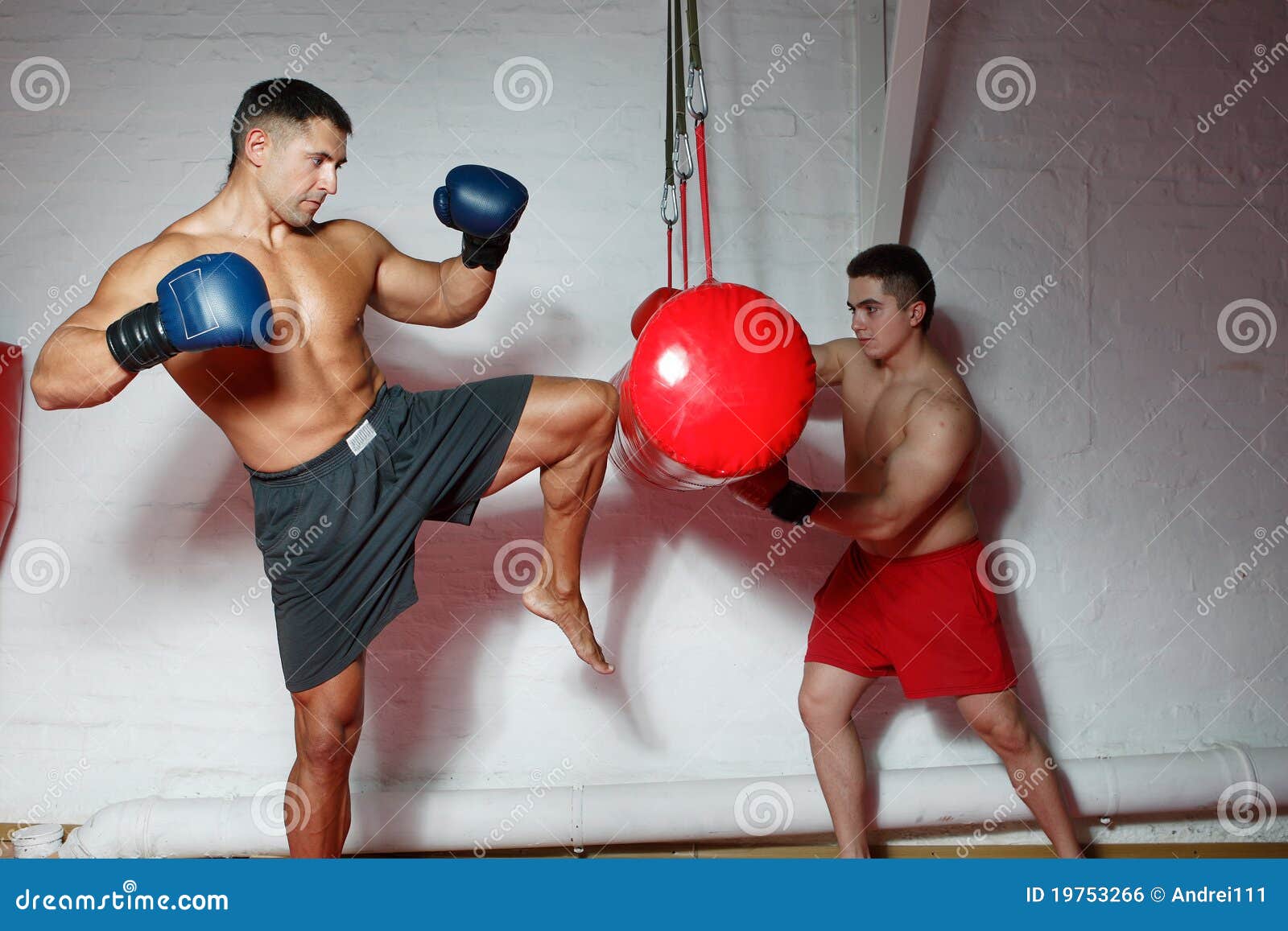 Two boxers on training stock photo. Image of exercise - 19753266