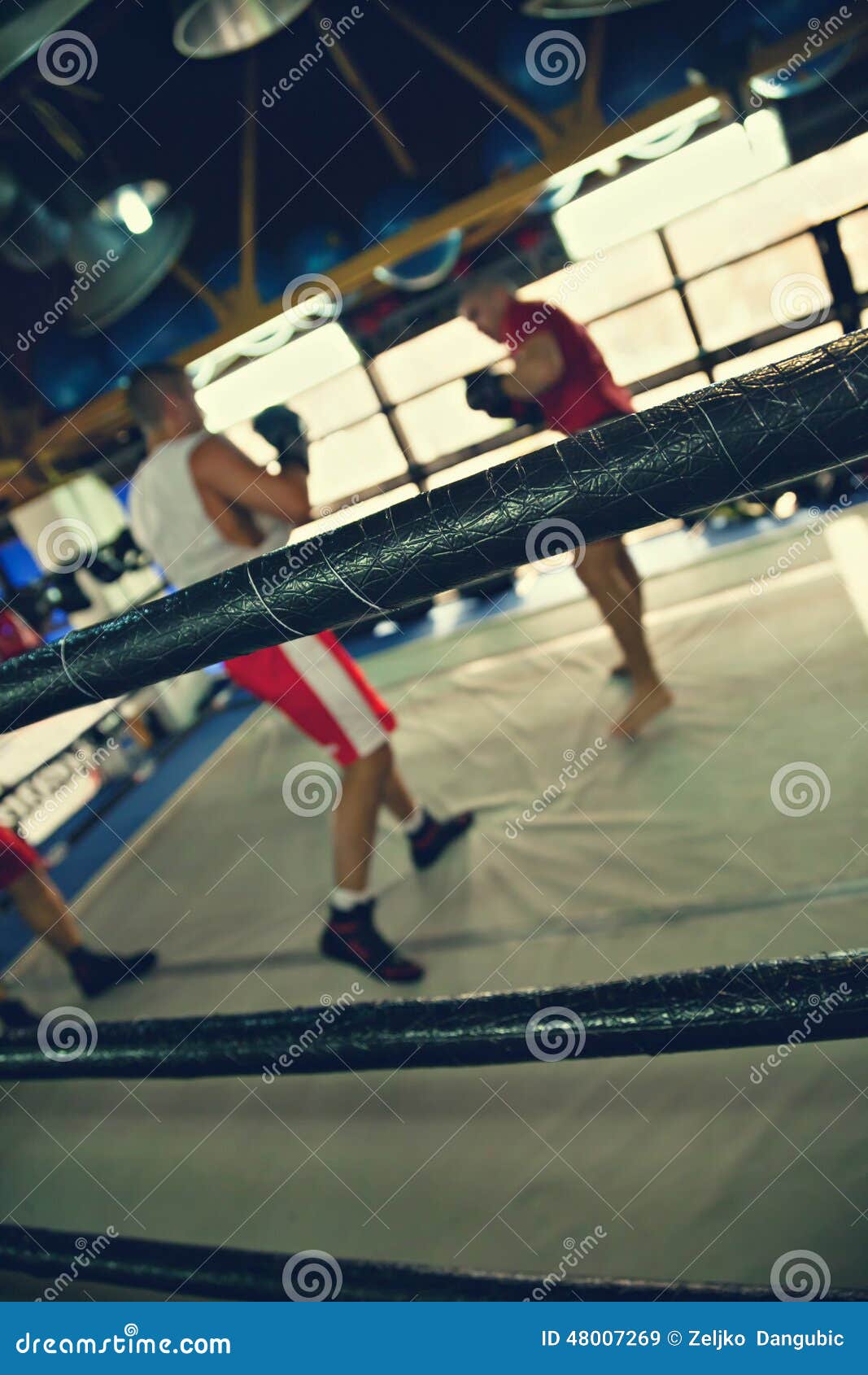Two Boxers at Training stock image. Image of caucasian - 48007269