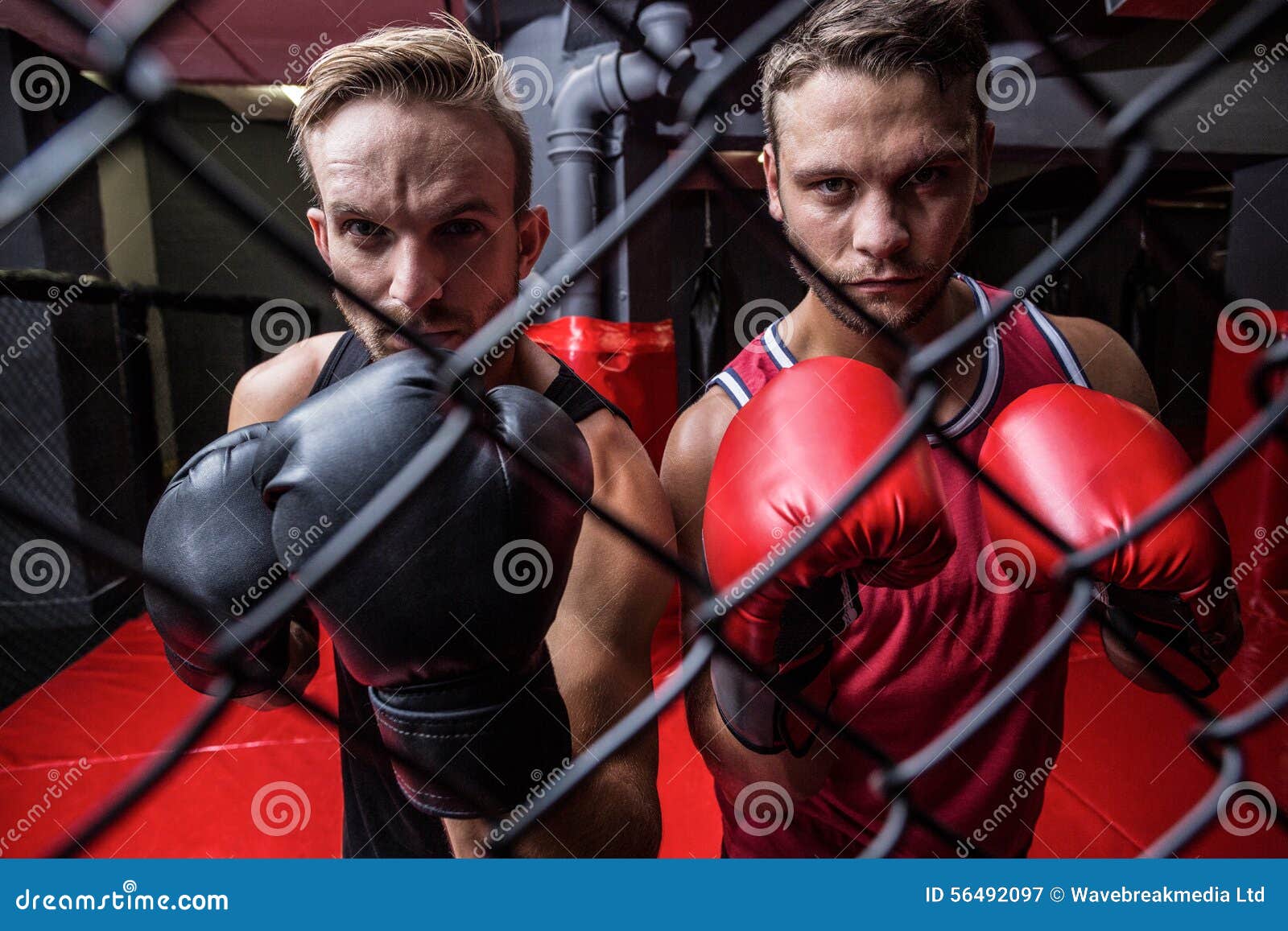 Two Boxing Men Behind the Netting Stock Image - Image of activity ...