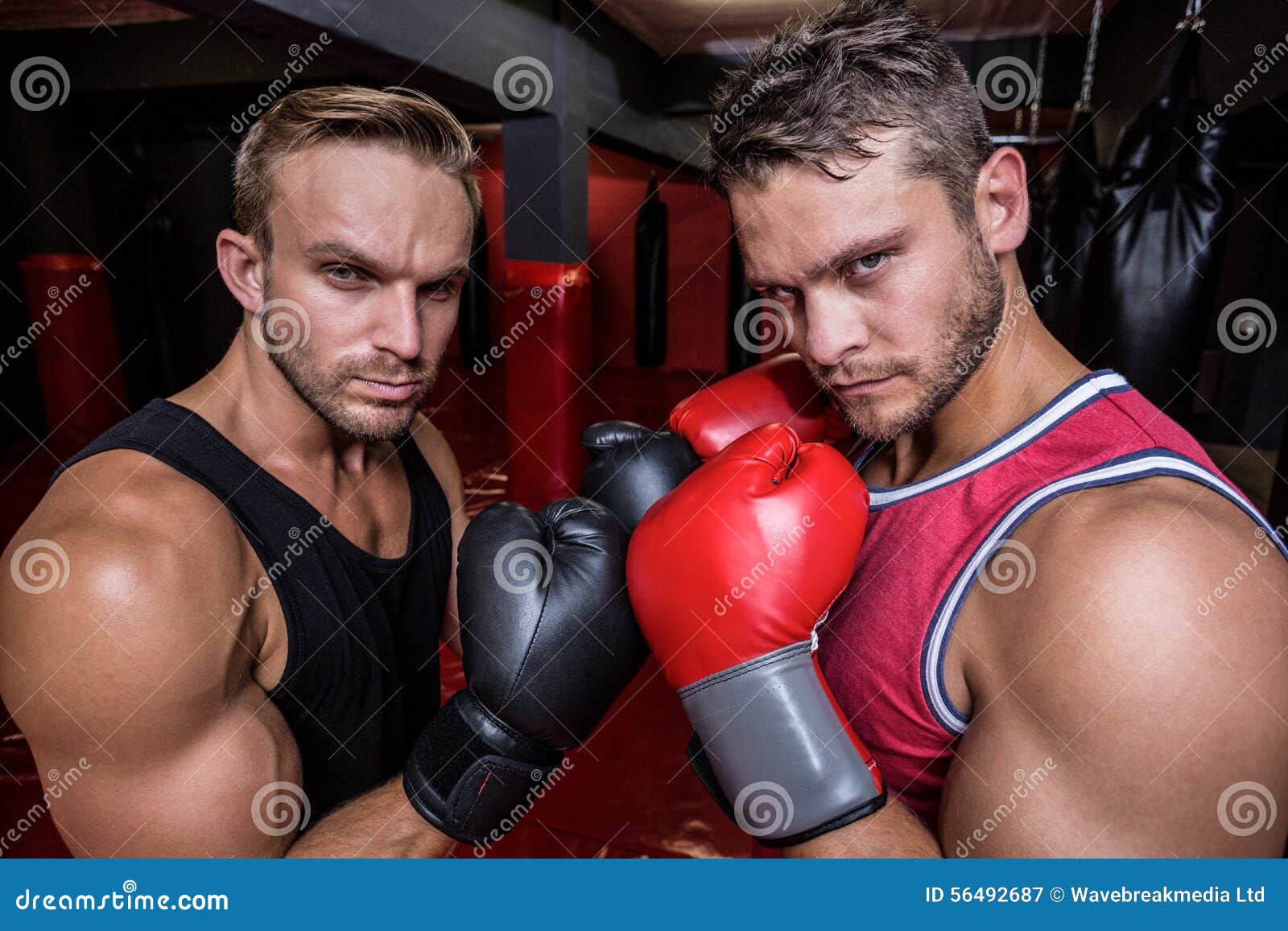 Two Boxing Men Exercising Together Stock Image - Image of leisure, male ...