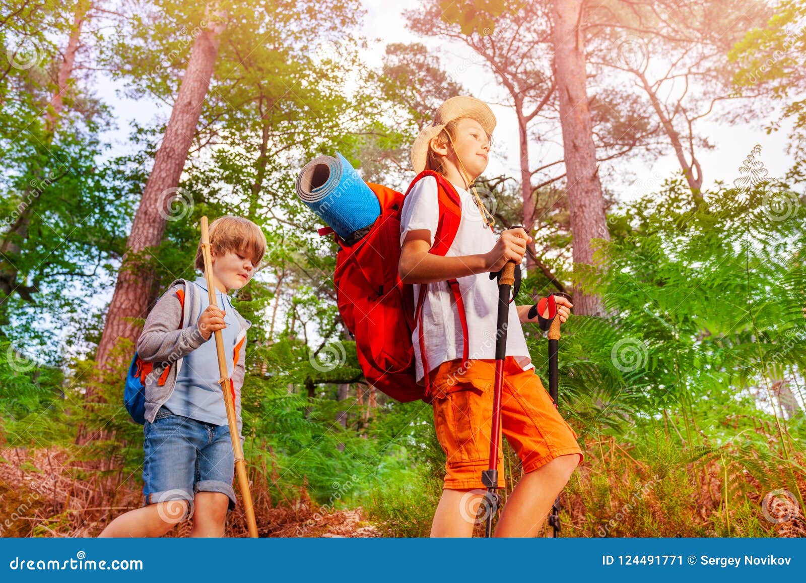 Two Boys with Backpacks on the Hike in Forest Stock Image - Image of ...