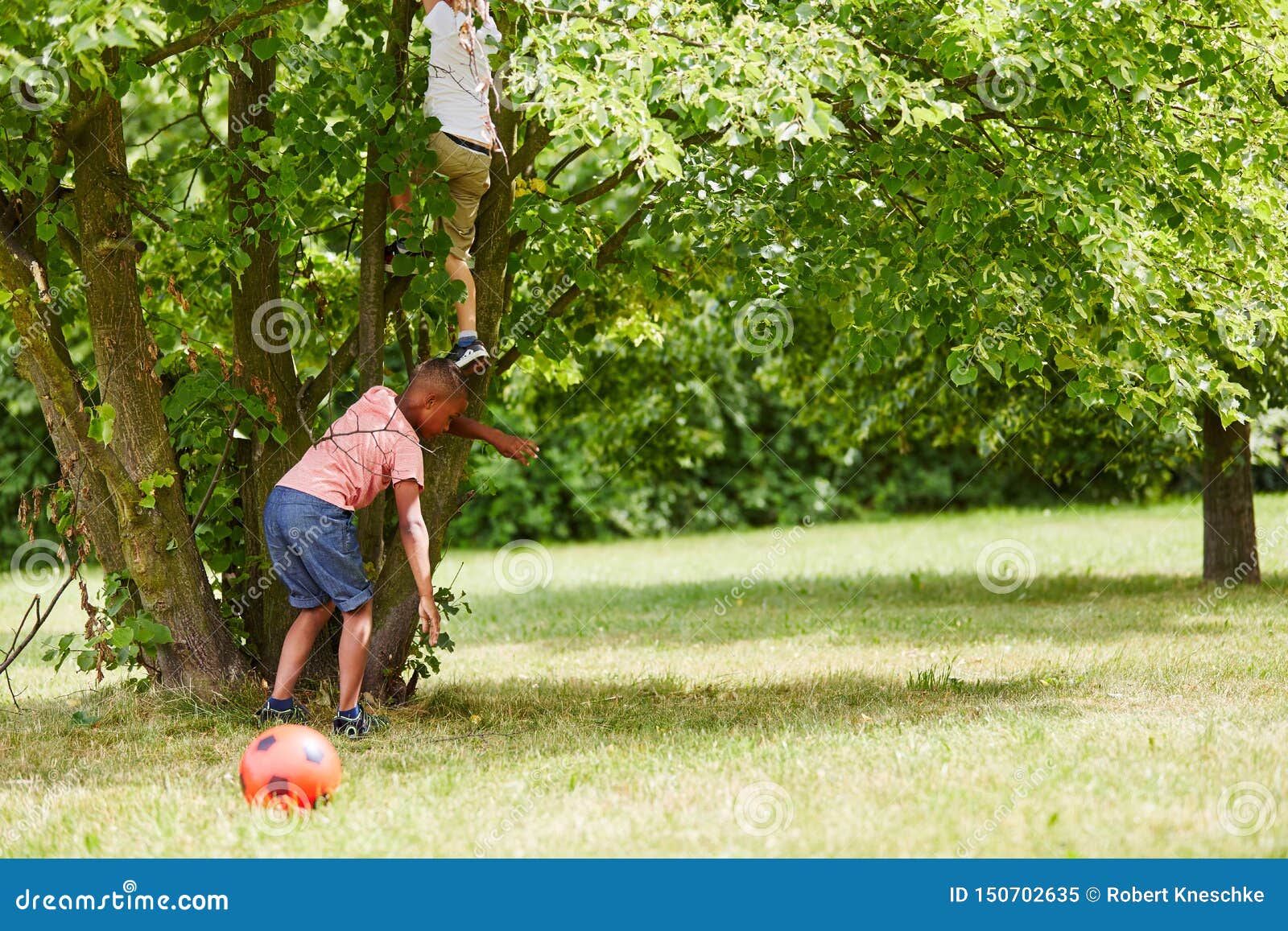 Two boys climbing tree stock image. Image of adventure - 150702635