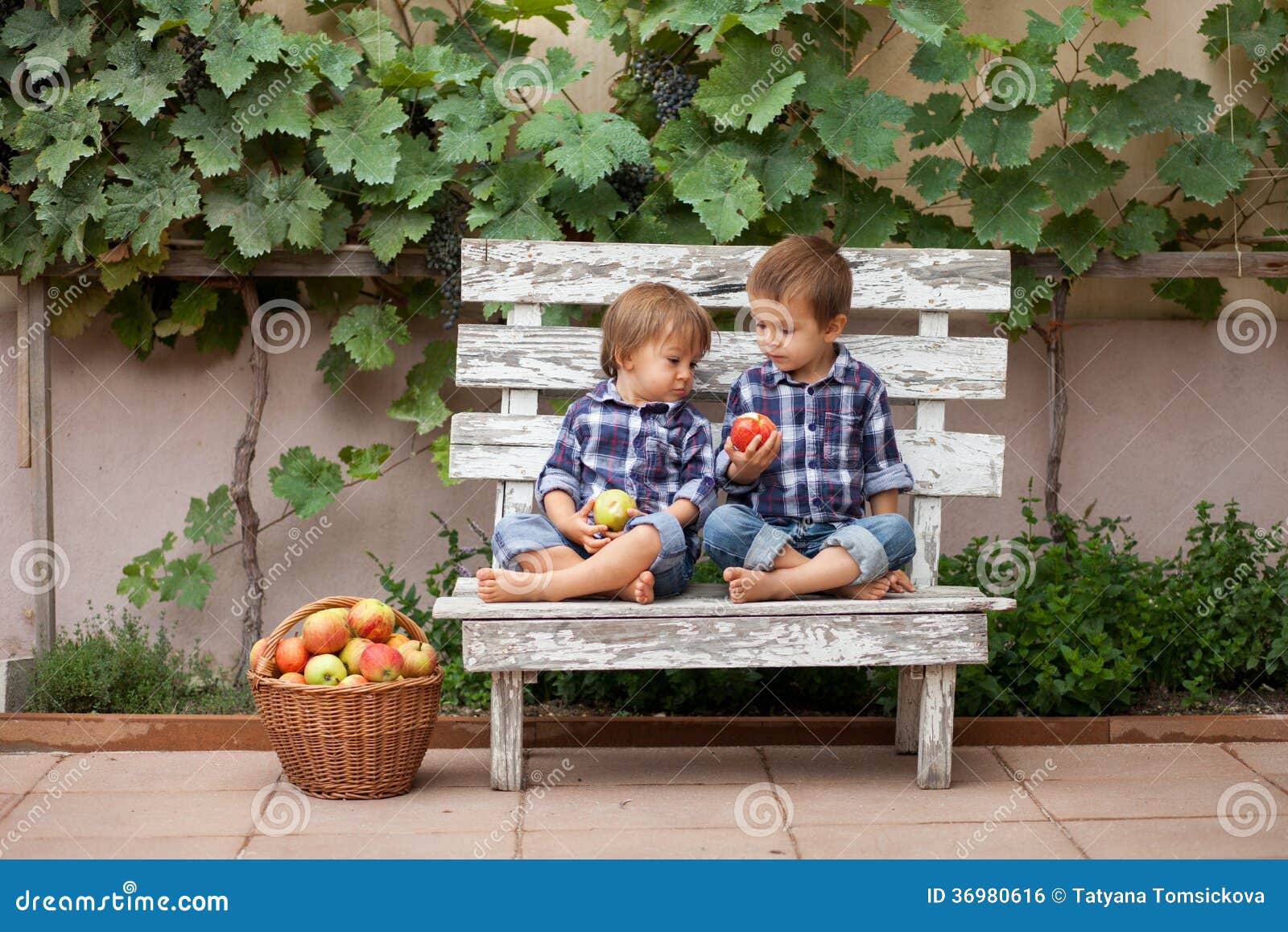 Two boys, eating apples stock photo. Image of shirts - 36980616
