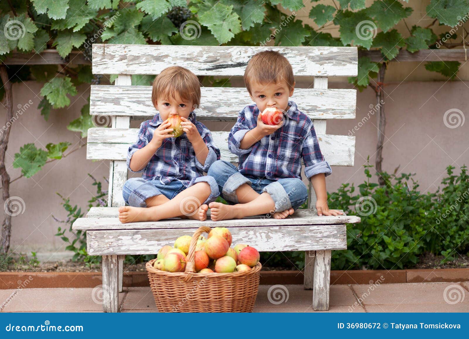 Two boys, eating apples stock photo. Image of adorable - 36980672