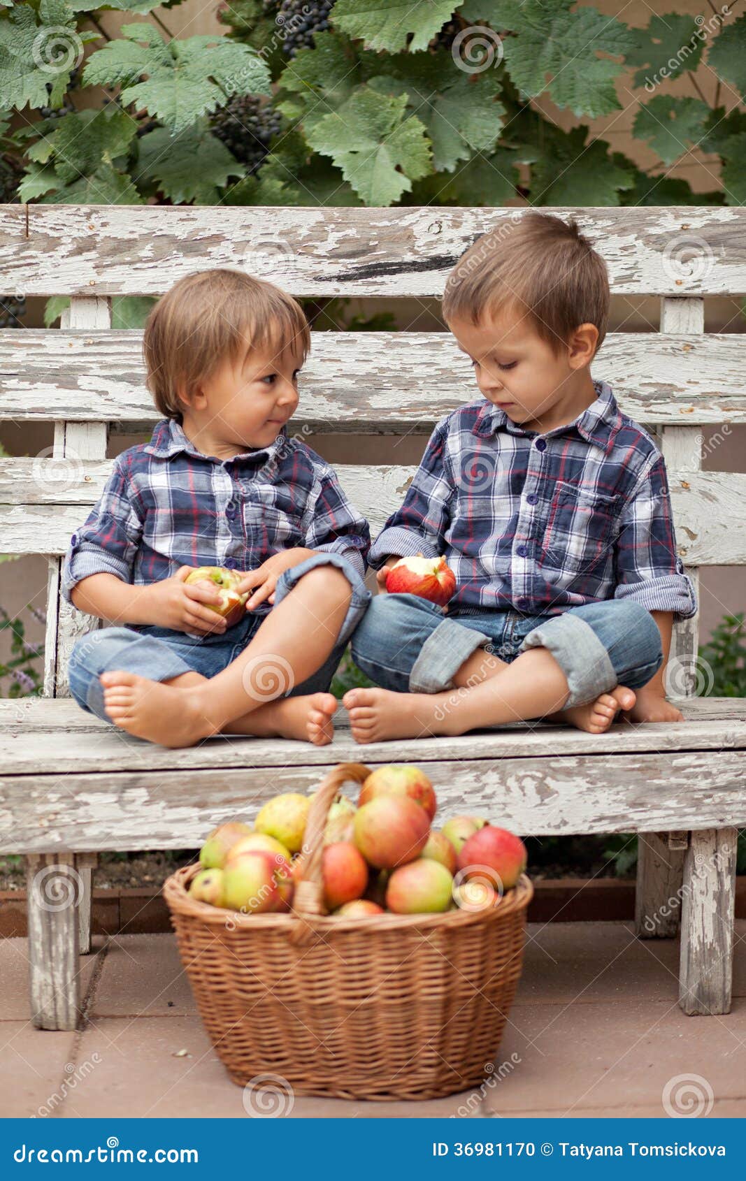 Two boys, eating apples stock photo. Image of caucasian - 36981170