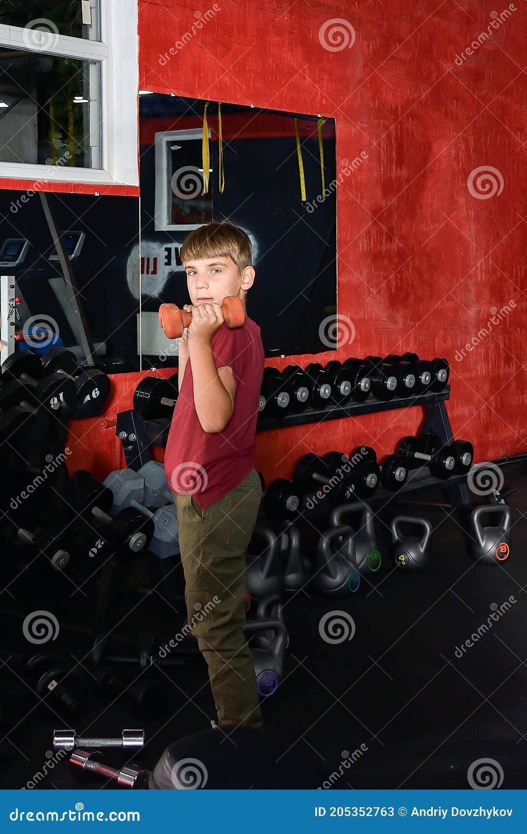 Two Boys are Engaged with Dumbbells in the Gym Stock Image - Image of ...