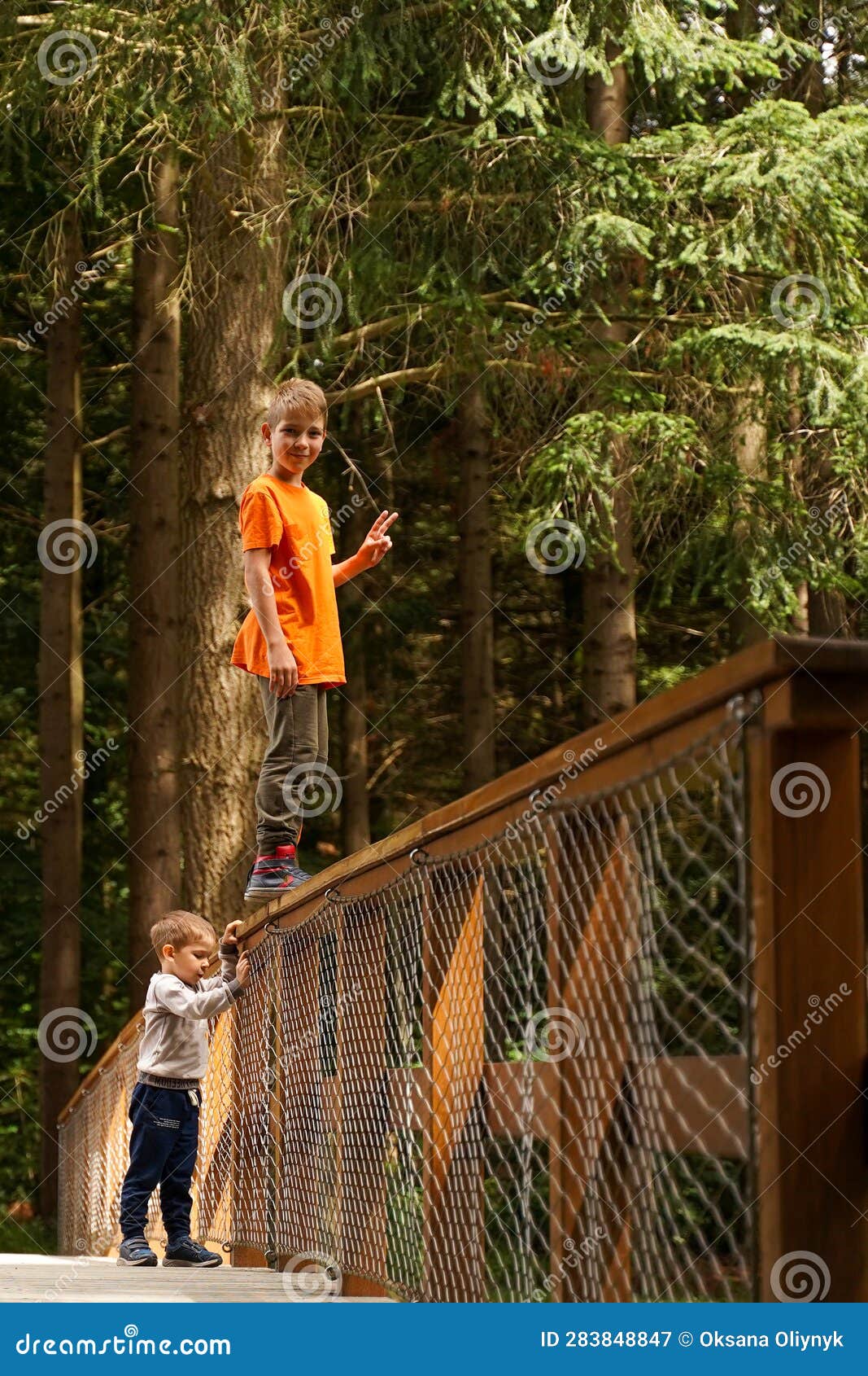 Two Boys Having Fun on a Wooden Bridge. Stock Image - Image of ...
