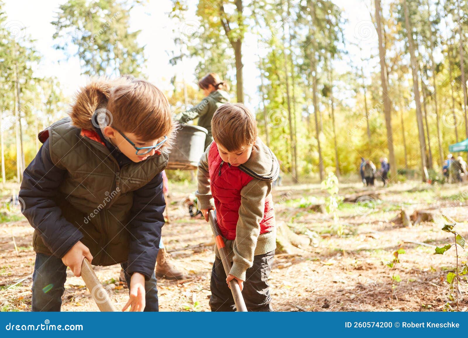 Two Boys Help with the Reforestation Campaign in the Forest Stock Photo ...