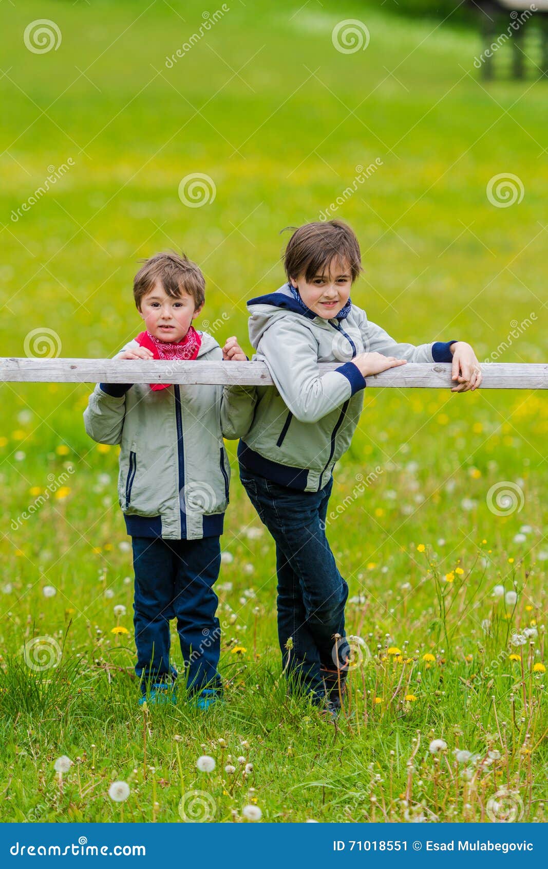 Two boys leaned on a fence stock image. Image of rural - 71018551