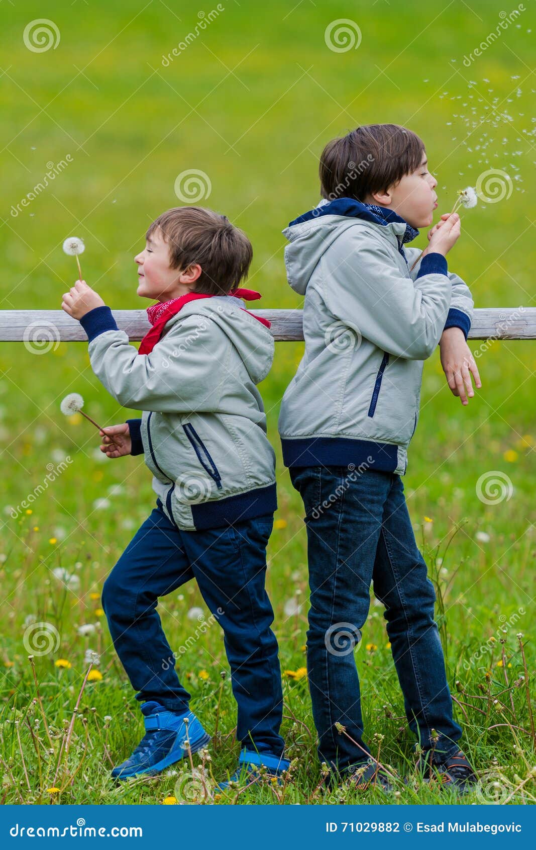 Two boys leaned on a fence stock photo. Image of happiness - 71029882