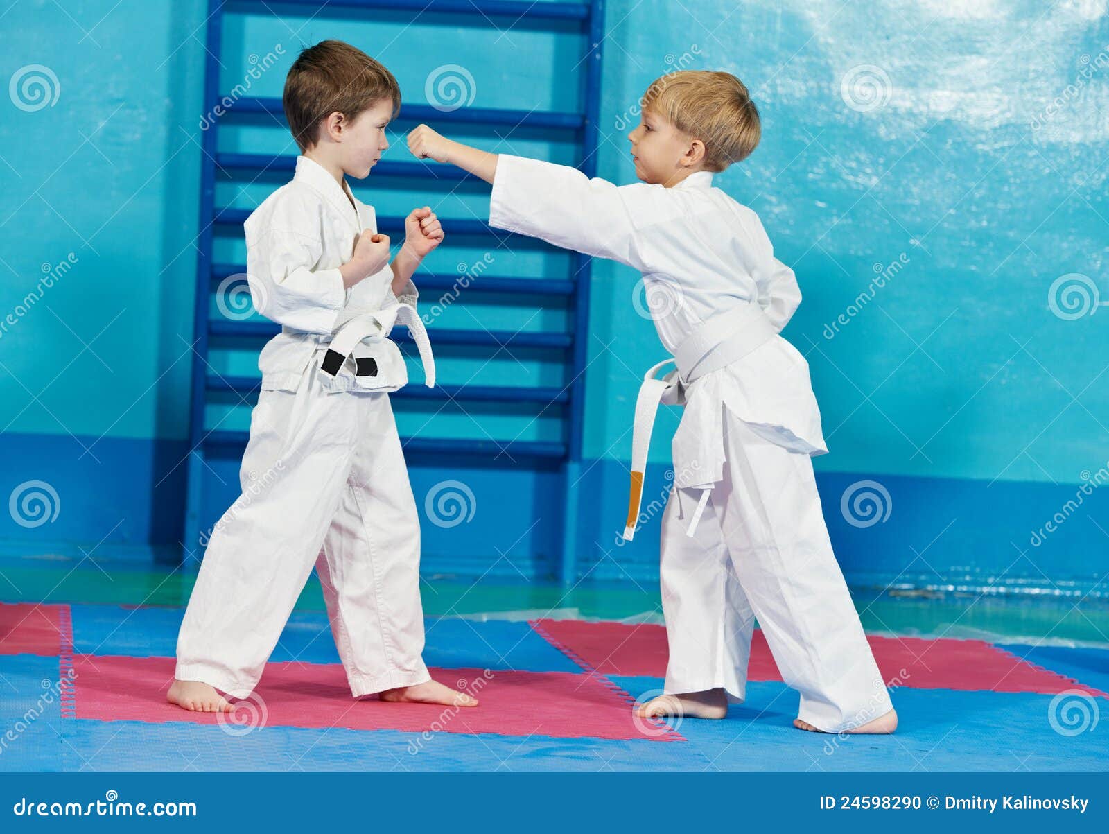 Two Boys Make Karate Exercises Stock Photo - Image of jiujitsu, hand ...