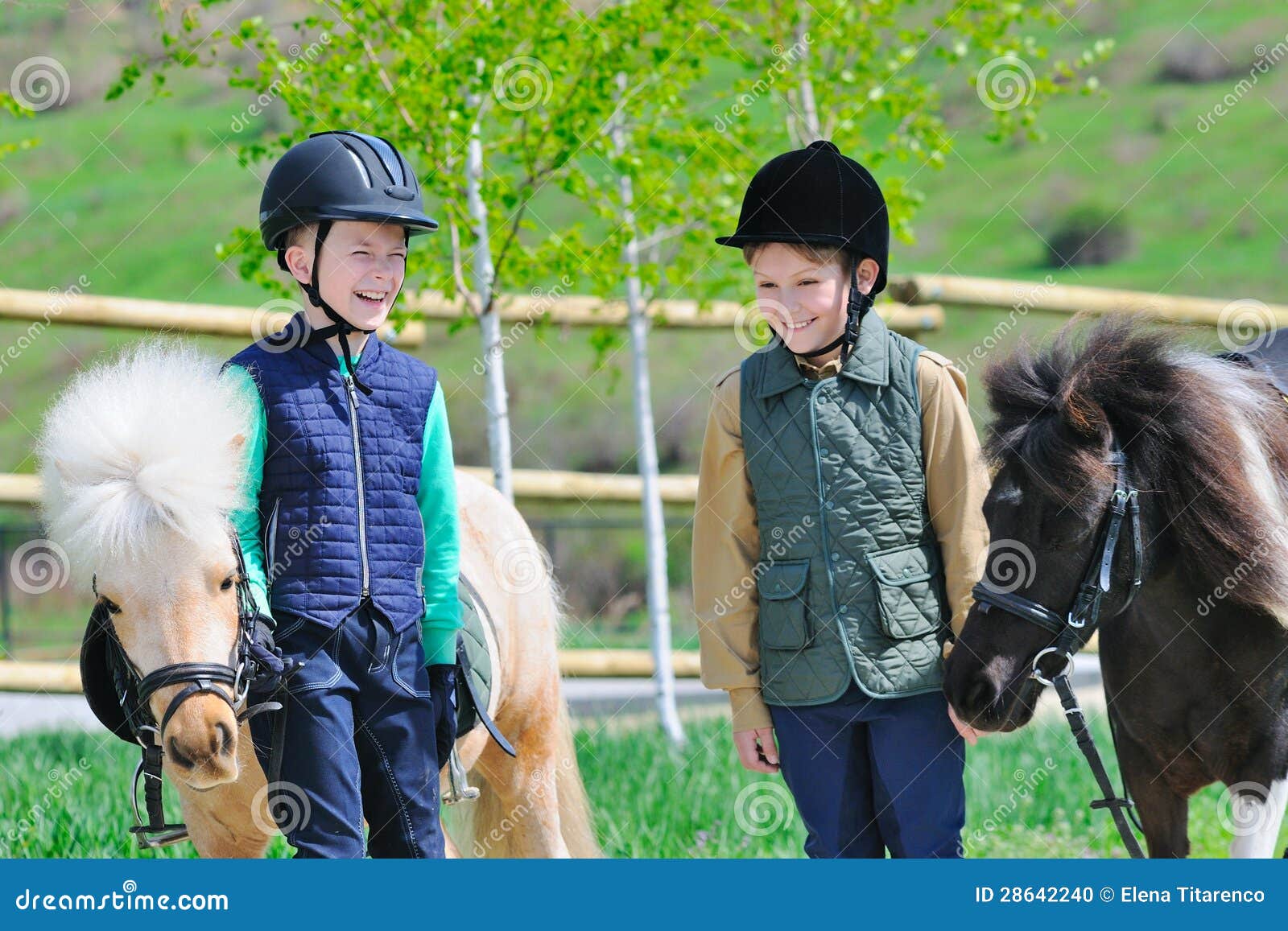 Two boys with ponies stock photo. Image of chestnut, outdoor - 28642240