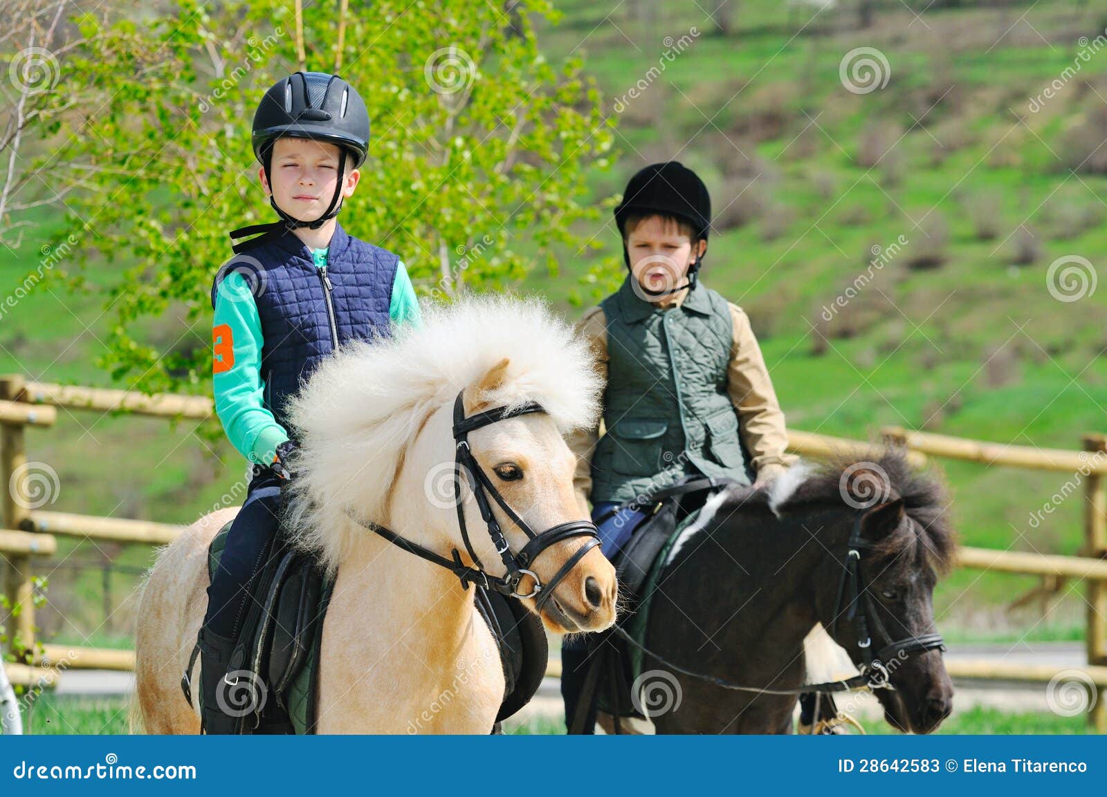 Two boys with ponies stock image. Image of palomino, chestnut - 28642583
