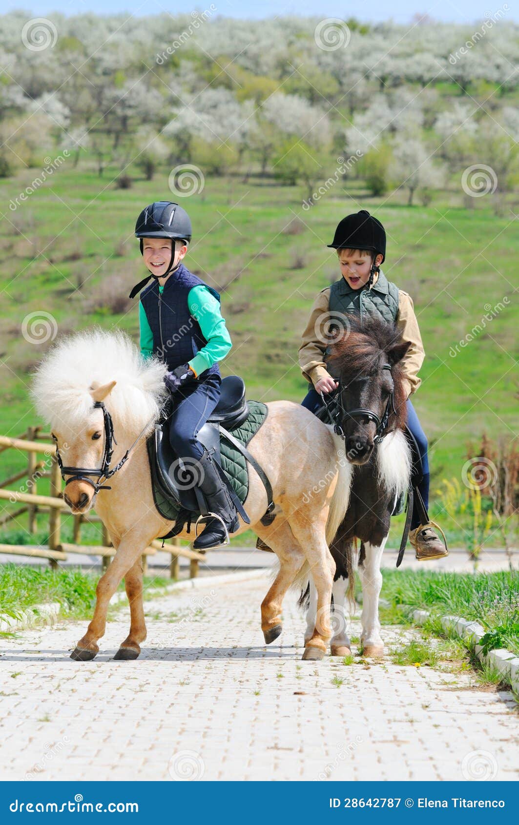 Two boys with ponies stock image. Image of horseriding - 28642787