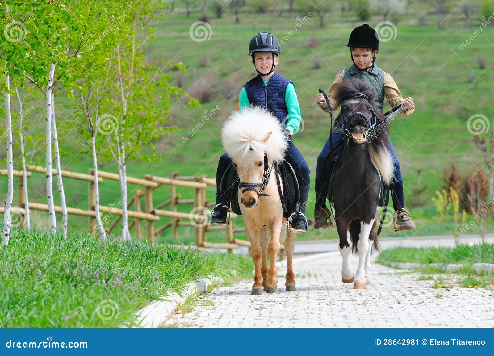 Two boys with ponies stock image. Image of achievement - 28642981