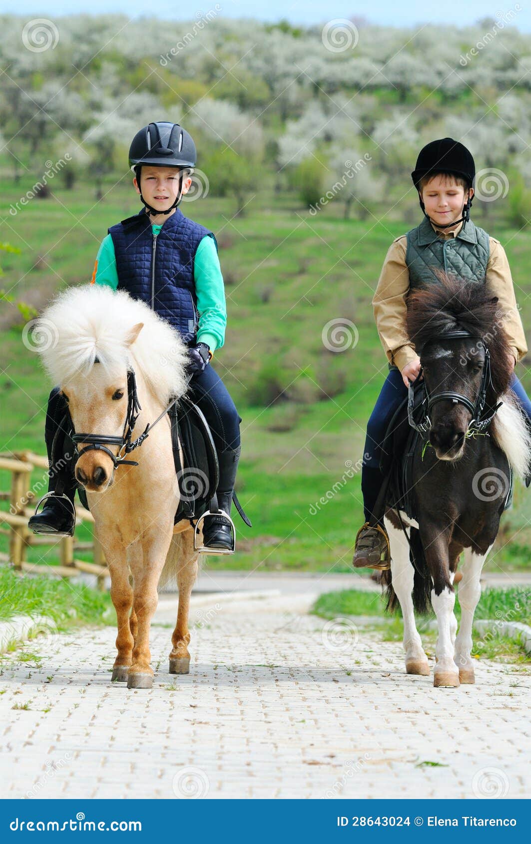 Two boys with ponies stock photo. Image of female, male - 28643024