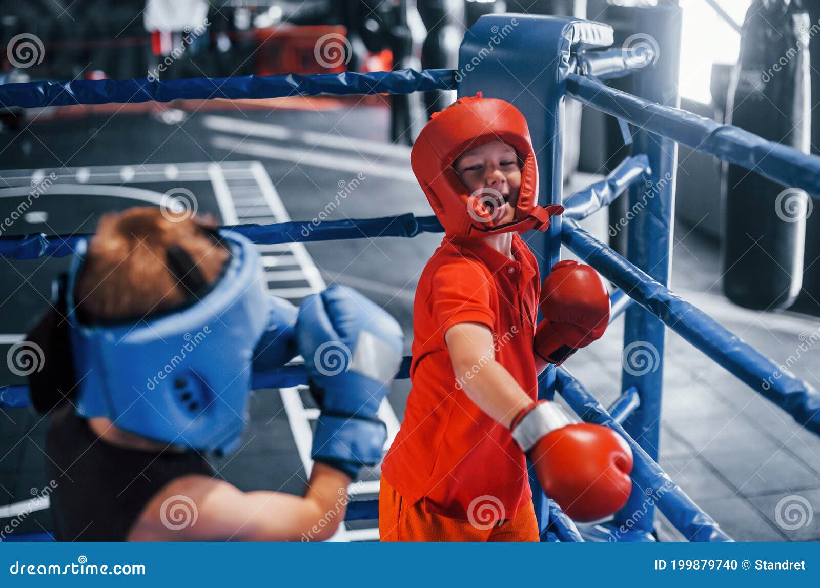 Two Boys in Protective Equipment Have Sparring and Fighting on the ...