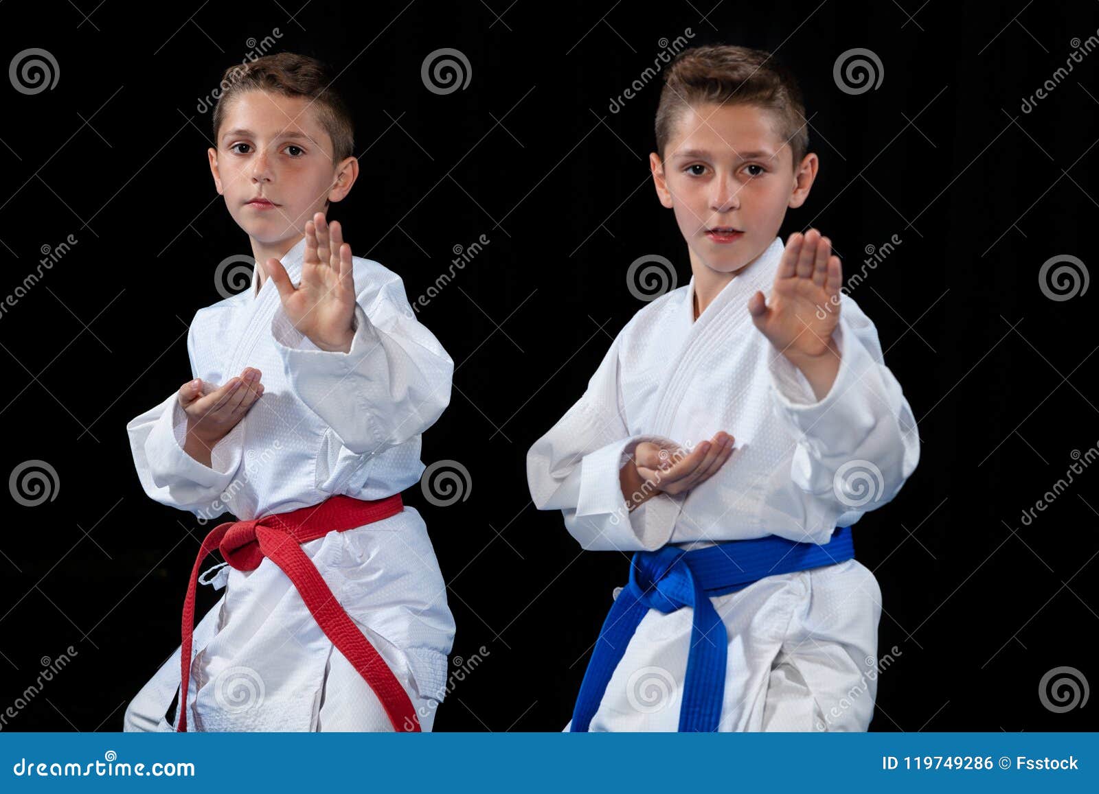 Two Boys Training Karate Kata Exercises at Test Qualification Stock ...