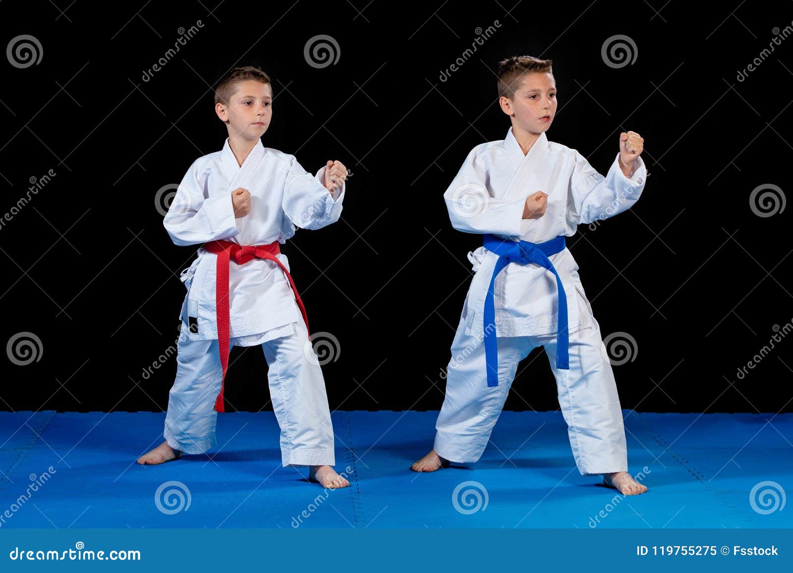 Two Boys Training Karate Kata Exercises at Test Qualification Stock ...