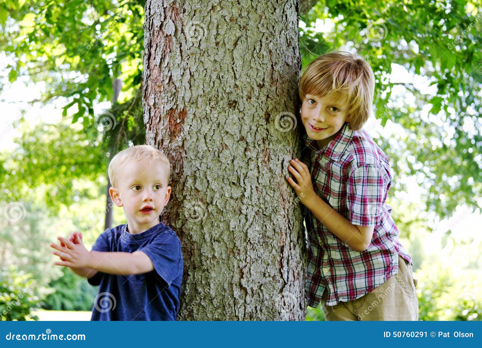 Two boys beside tree stock image. Image of trees, summer - 50760291