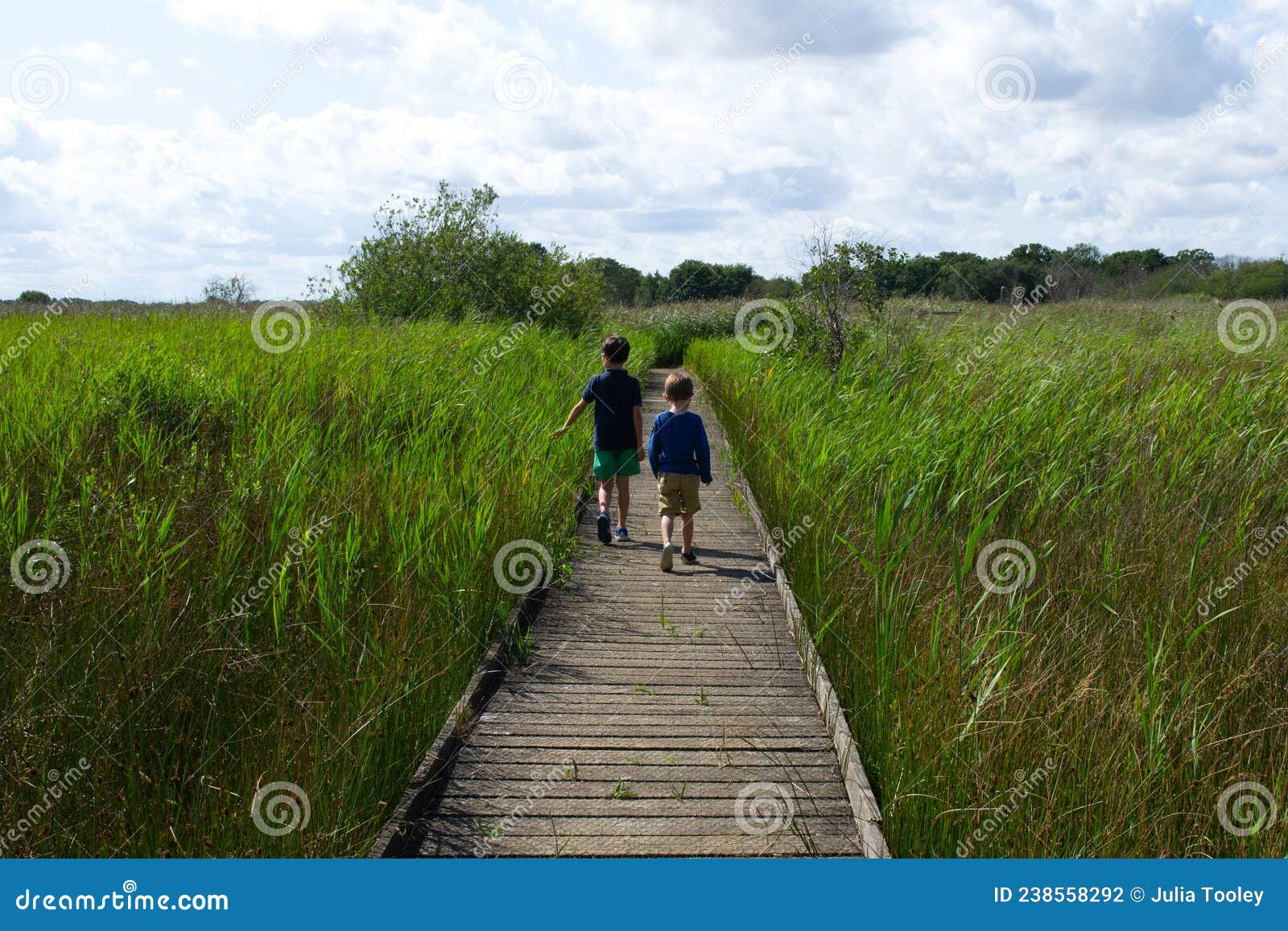 Two Boys Walking through Reeds on Boardwalk in Summer Stock Photo ...