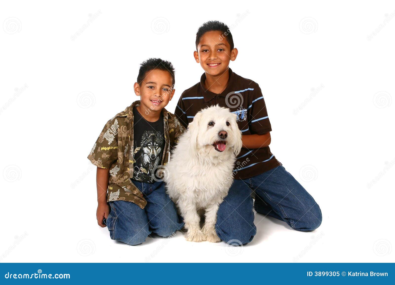 Two Boys with a White Dog stock image. Image of friendship - 3899305