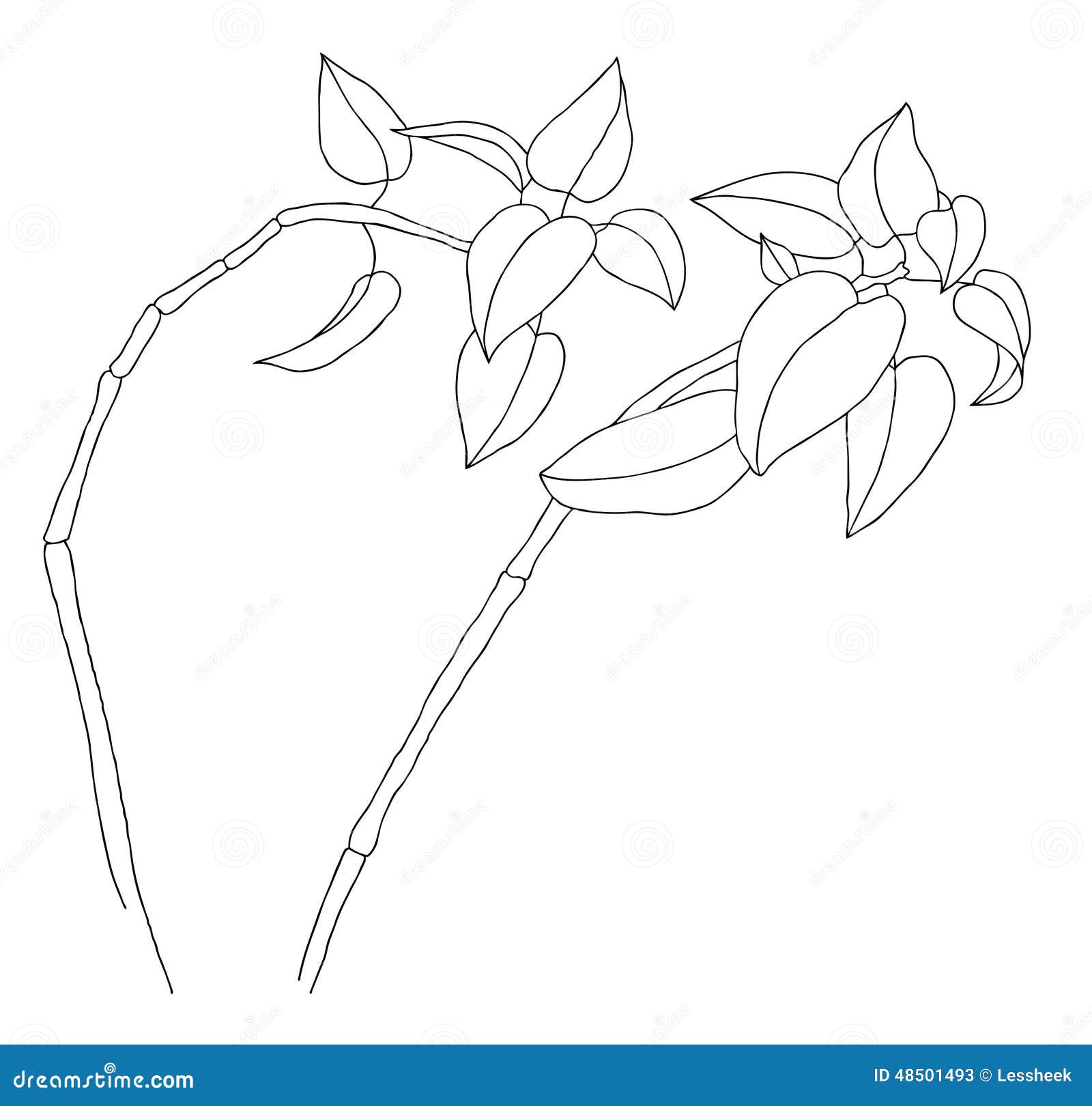 Two branch with leaves stock vector. Illustration of whimsical - 48501493