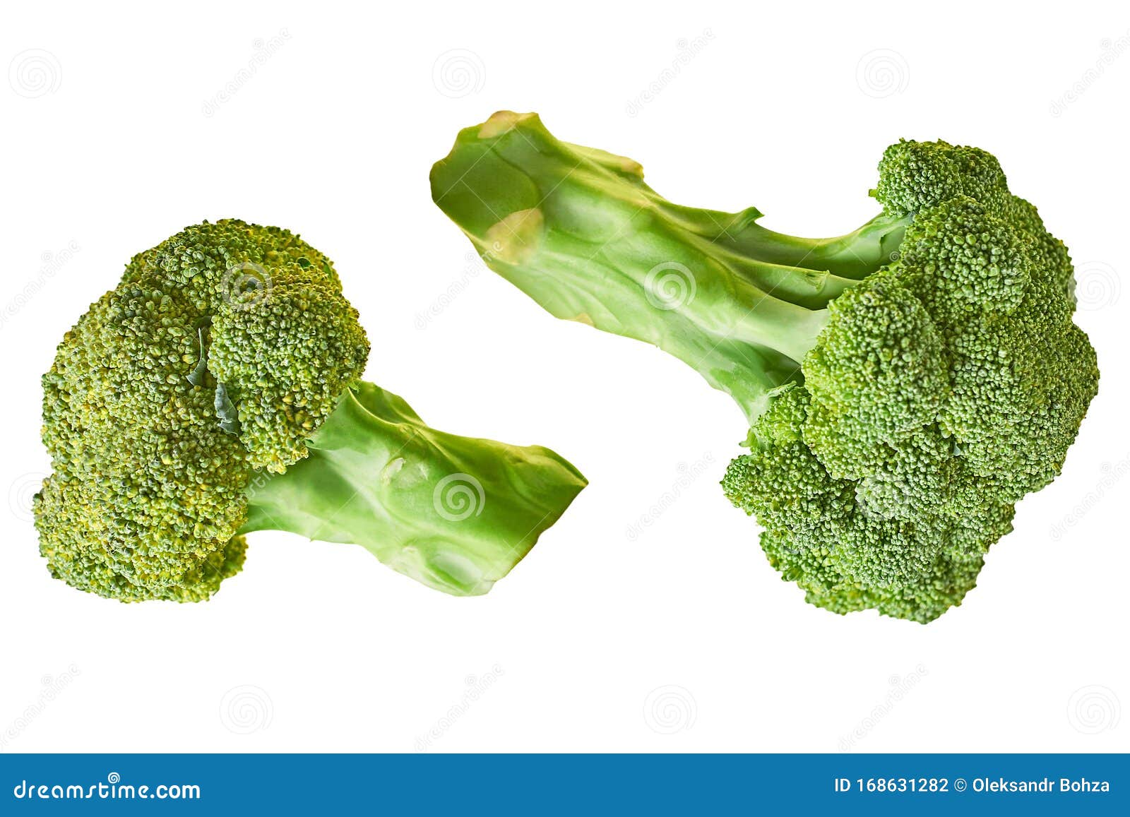 Two Branches of Fresh Green Broccoli Isolated on White Background ...