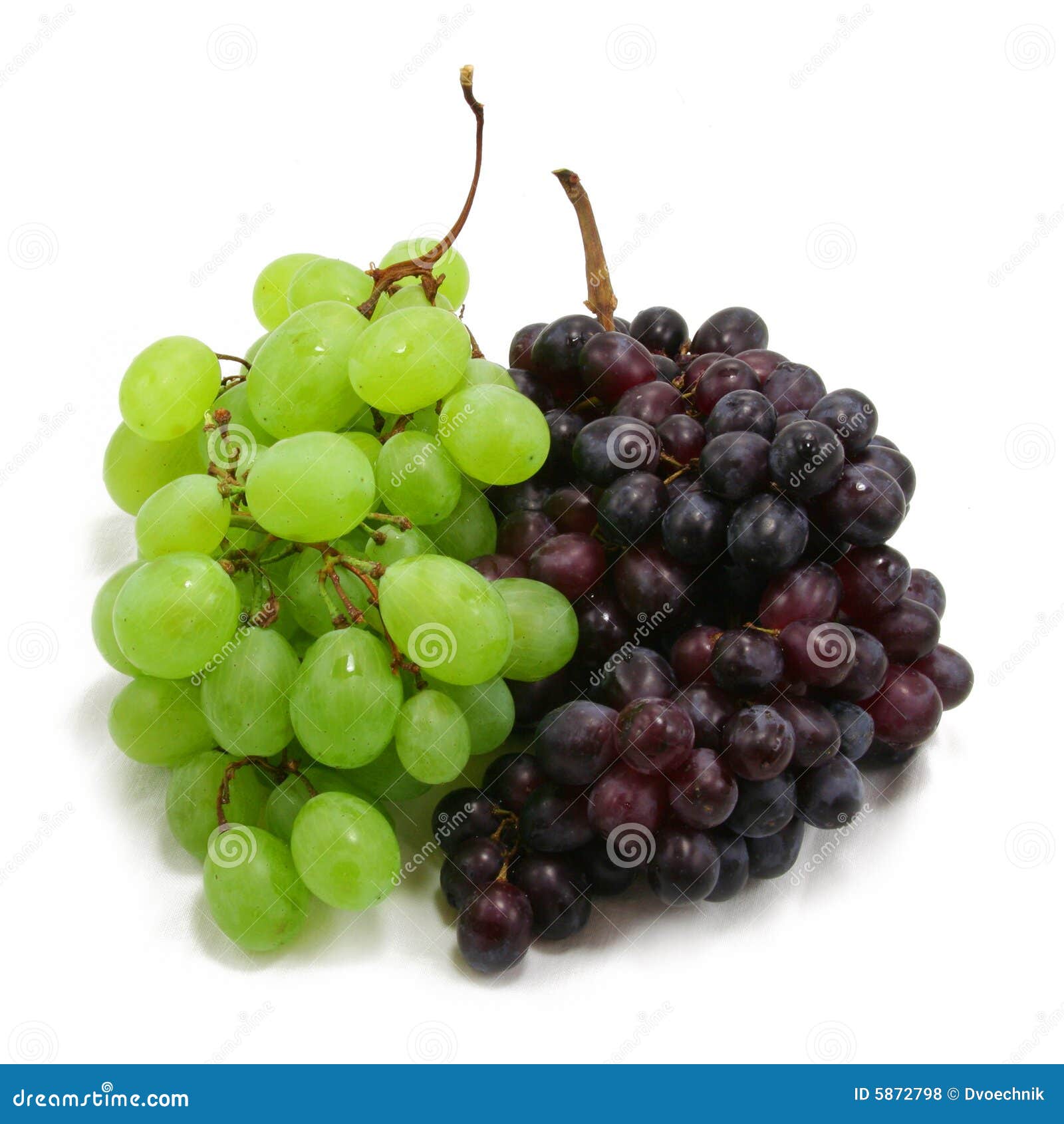 Two branches of grape stock photo. Image of vegetarian - 5872798
