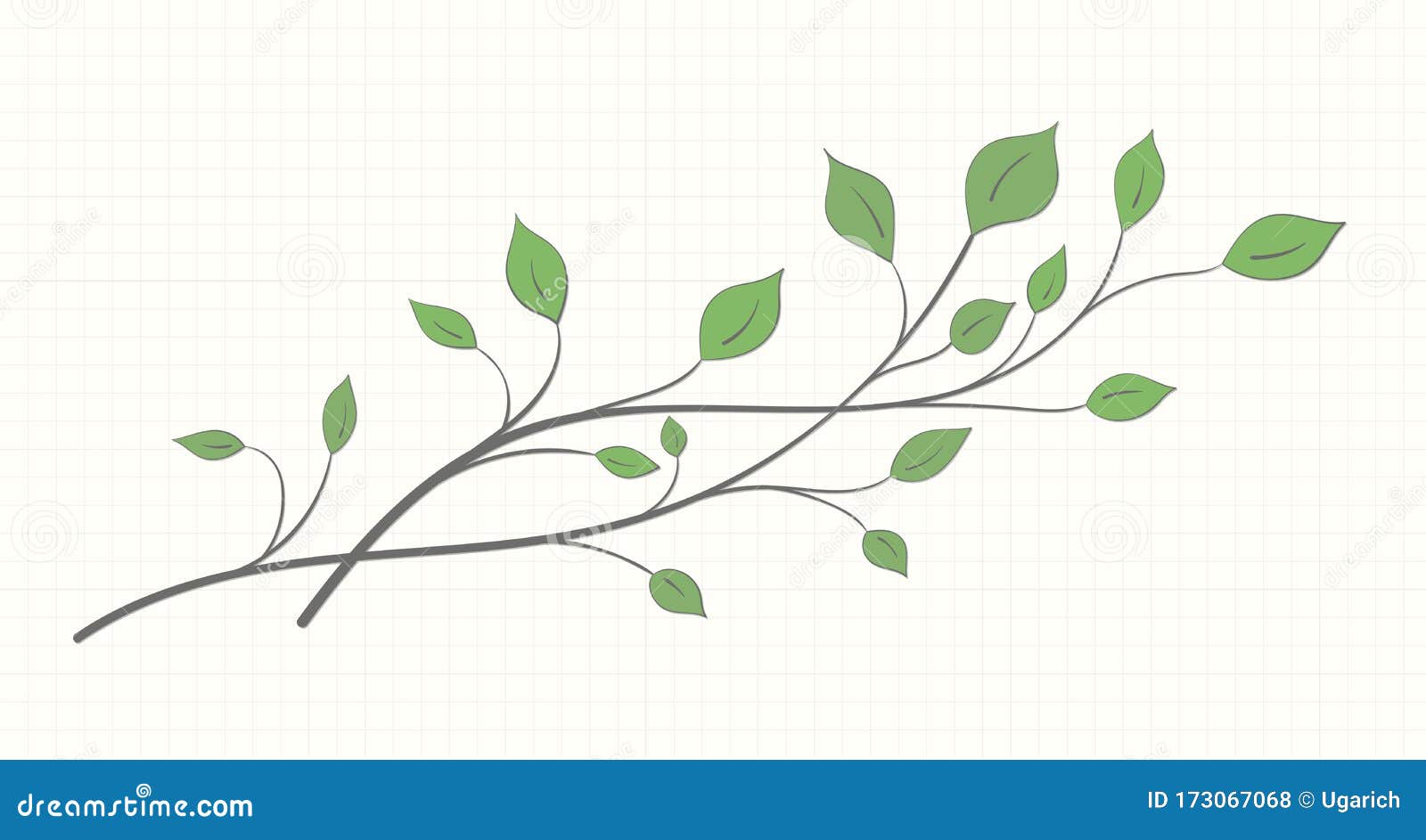 Two Branches with Green Leaves of Different Shapes on a Notebook Sheet ...
