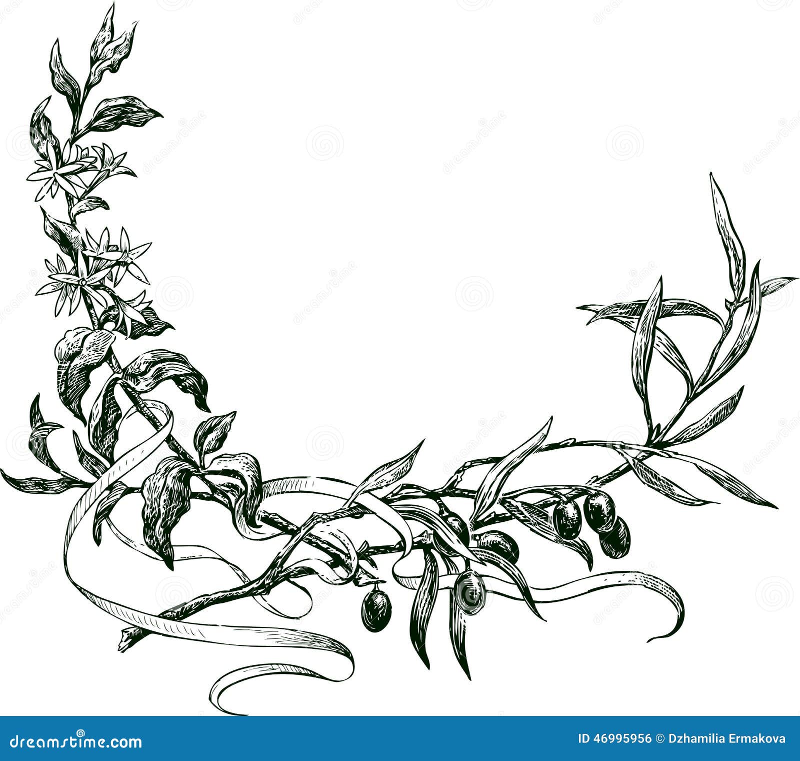 Two branches stock vector. Illustration of corner, sketch - 46995956