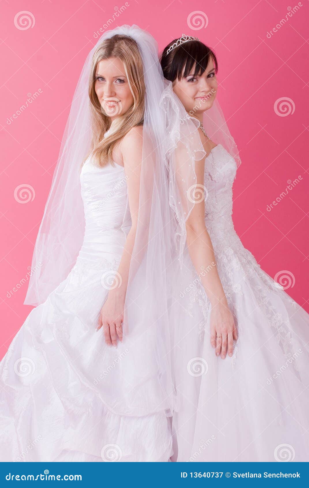 Two brides stock image. Image of hand, adult, bridegroom - 13640737