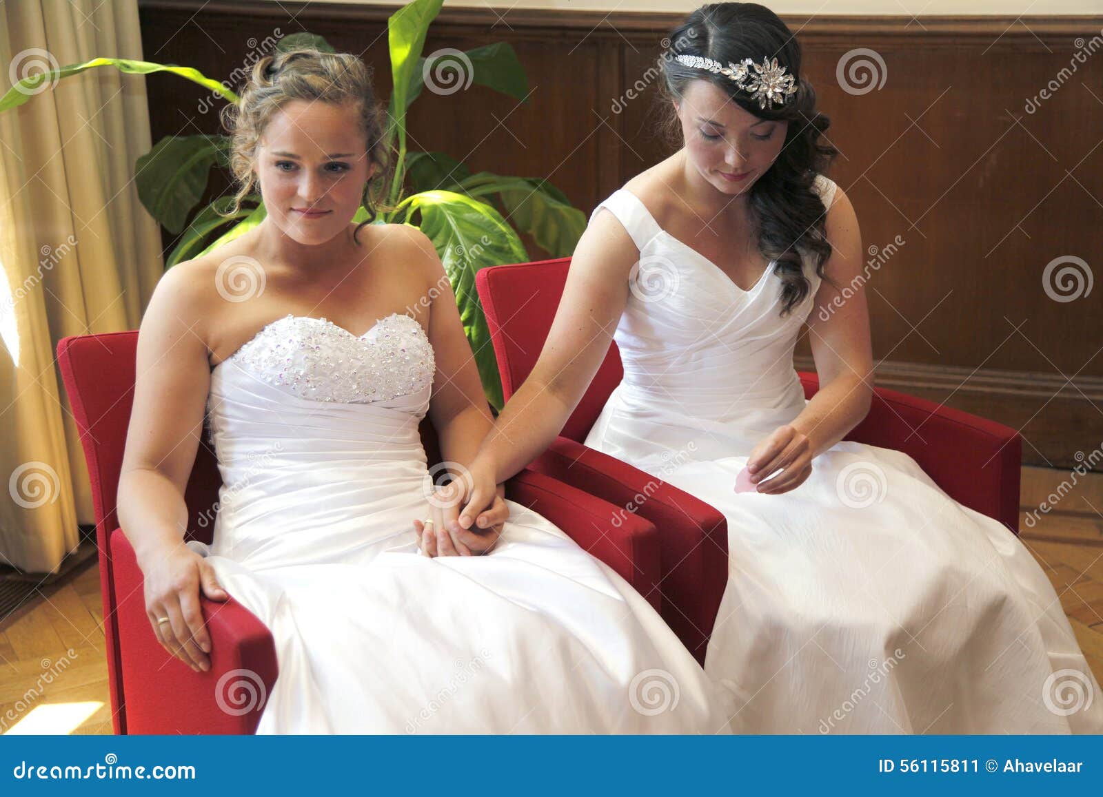 Two Brides Getting Married Hold Hands Stock Image - Image of affection ...
