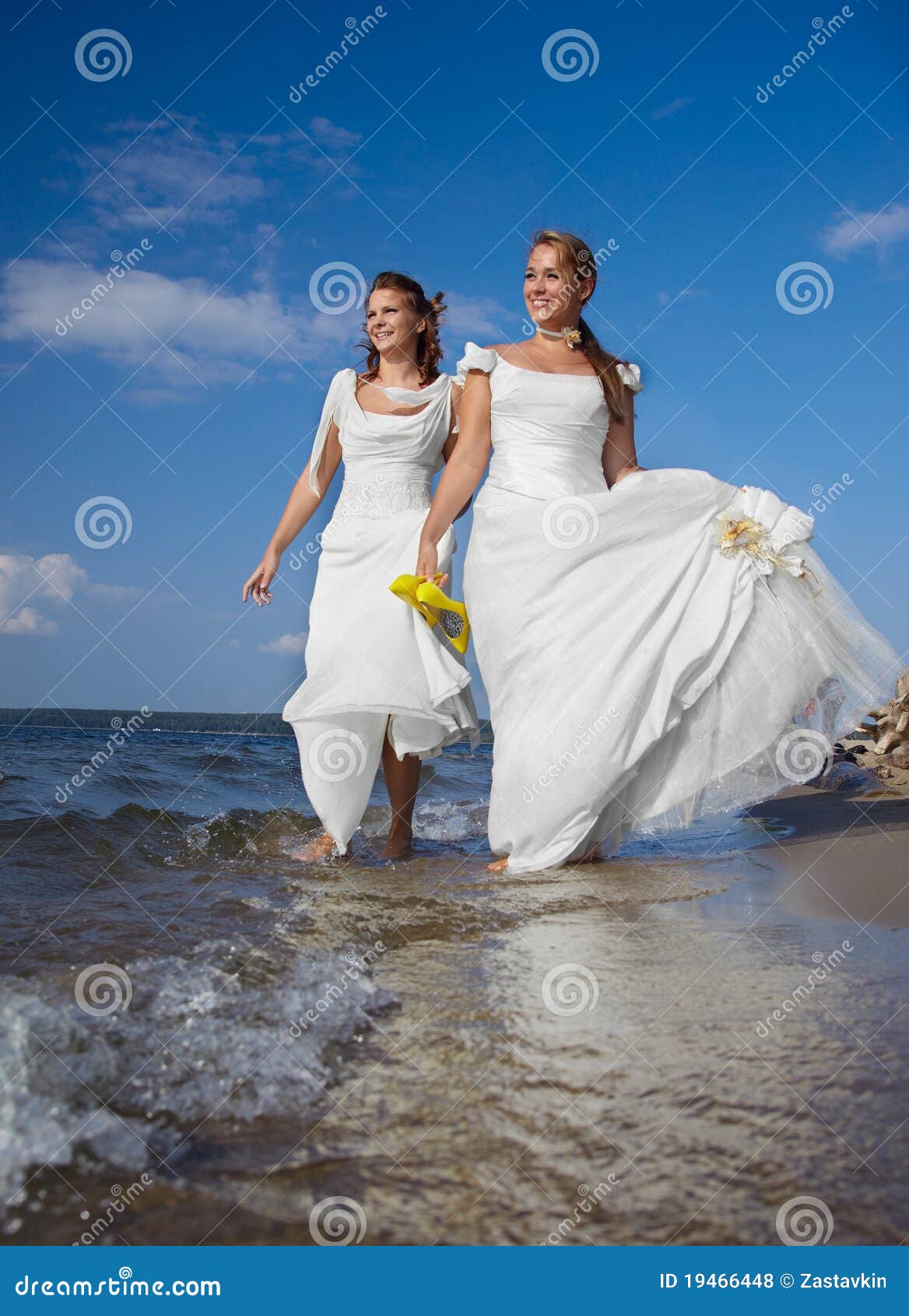 Two brides on shore stock photo. Image of couple, high - 19466448