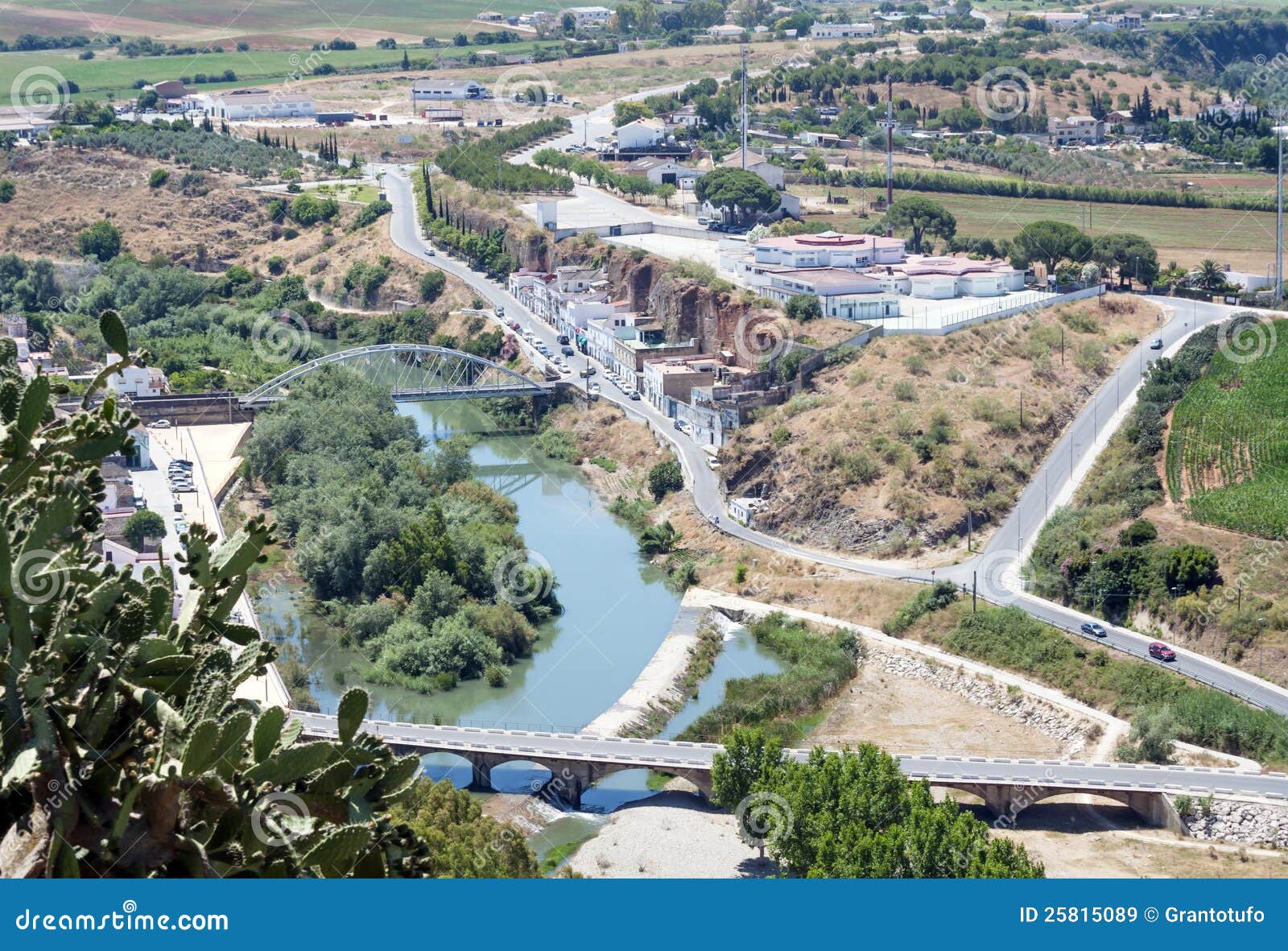 Two Bridges stock image. Image of plant, cactus, light - 25815089