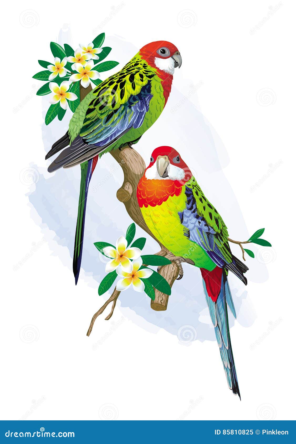 Two Bright Parrot on a Blossoming Branch Stock Illustration ...