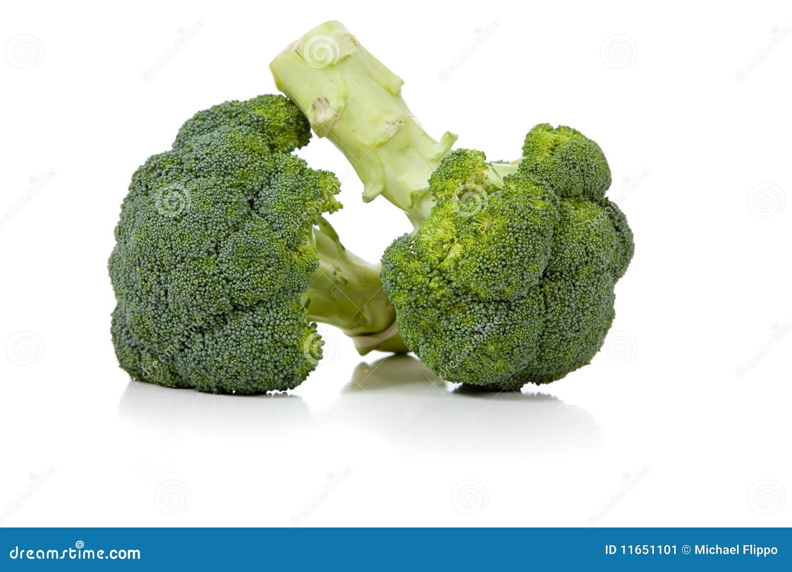 Two Broccoli Florets on White Stock Image - Image of ingredient ...