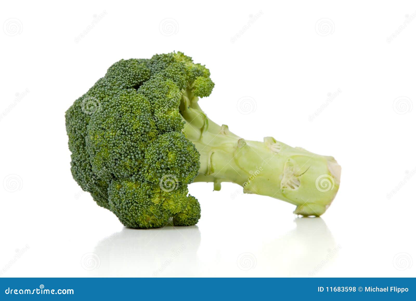 Two Broccoli Florets on White Stock Photo - Image of healthy ...