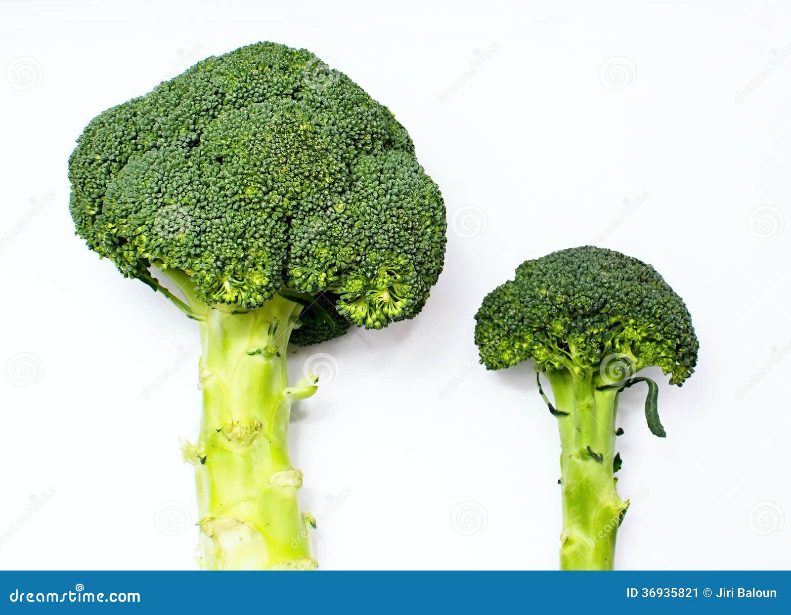 Two broccoli stock image. Image of broccoli, meal, appetite - 36935821